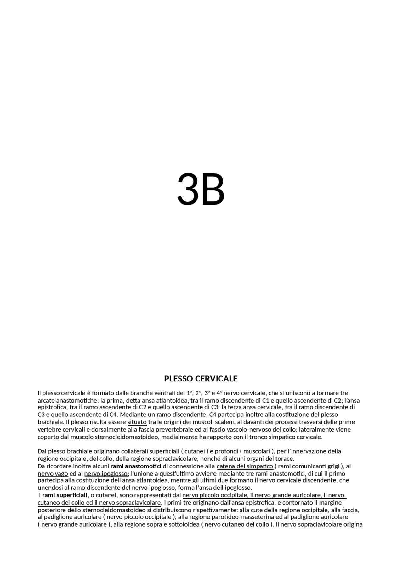 Riassunto Di Anatomia 3b Libro Anastasi Docsity