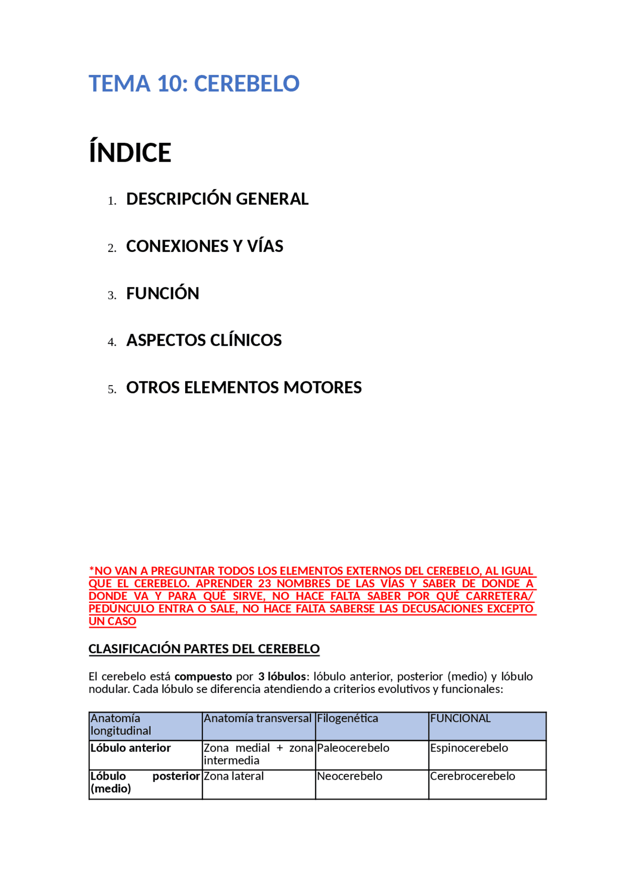 Cerebelo NeuroanatomÍa Docsity