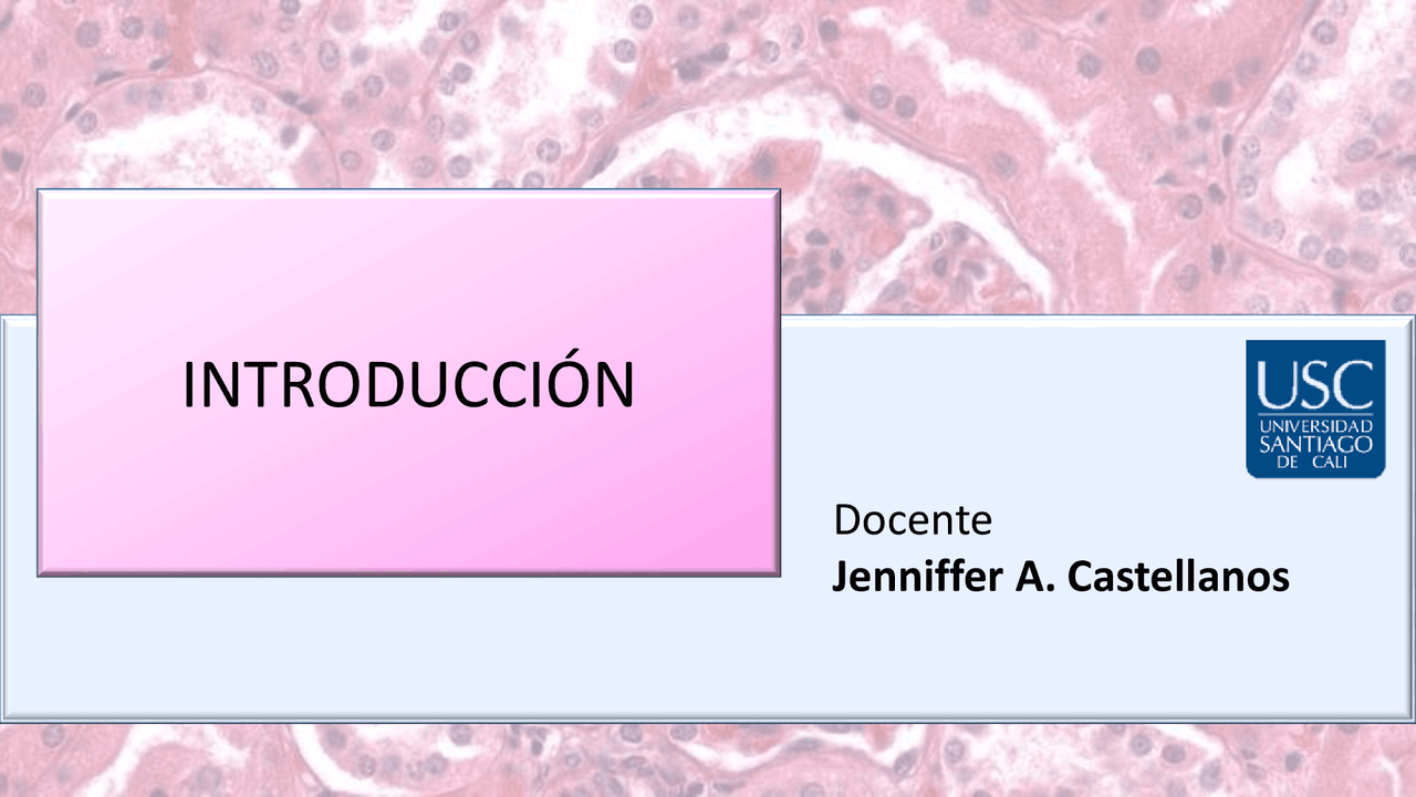 Clase Tejido Epitelial Docsity