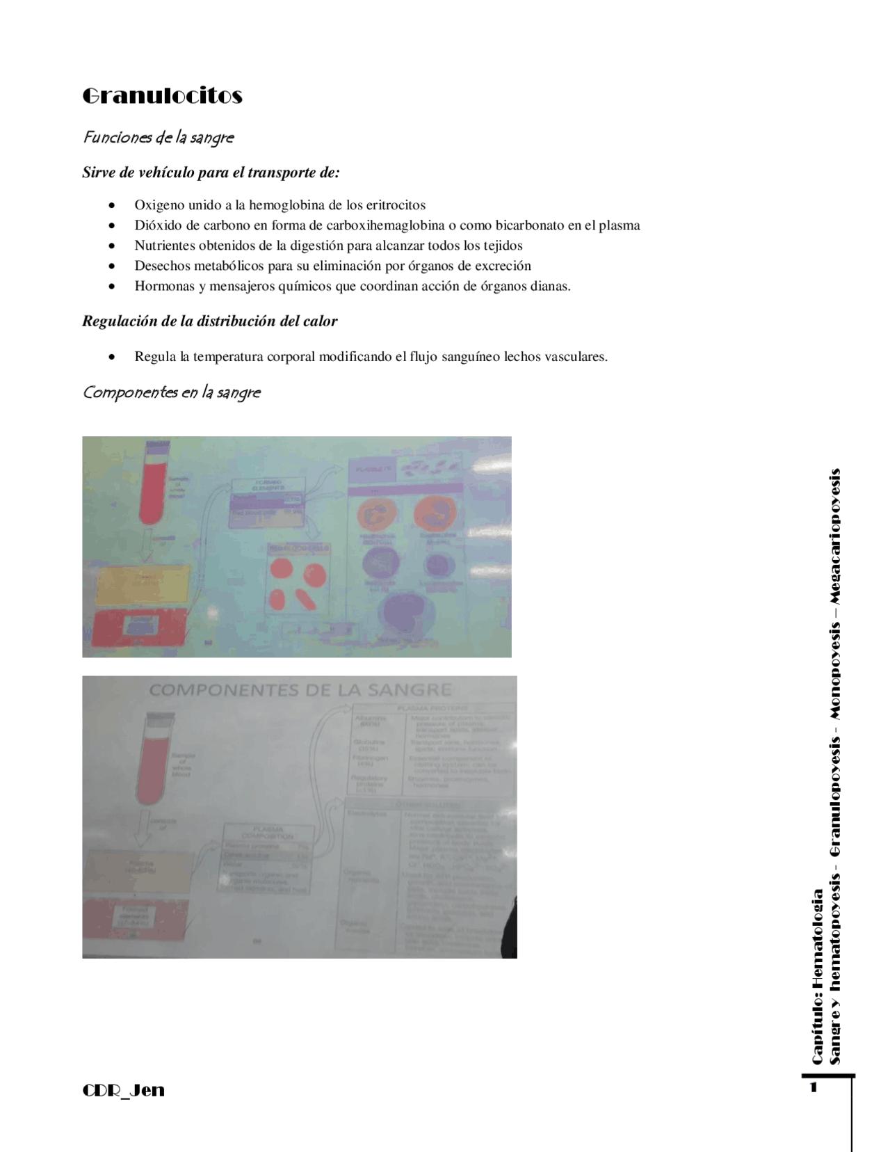 Sangre Y Hematopoyesis Apuntes De Hematología Docsity
