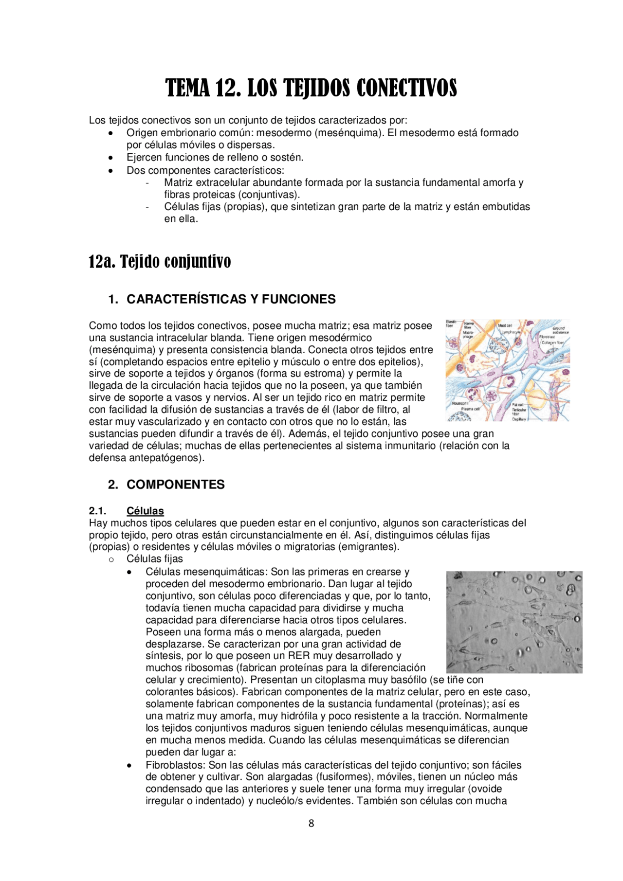 Apuntes De Histología Docsity