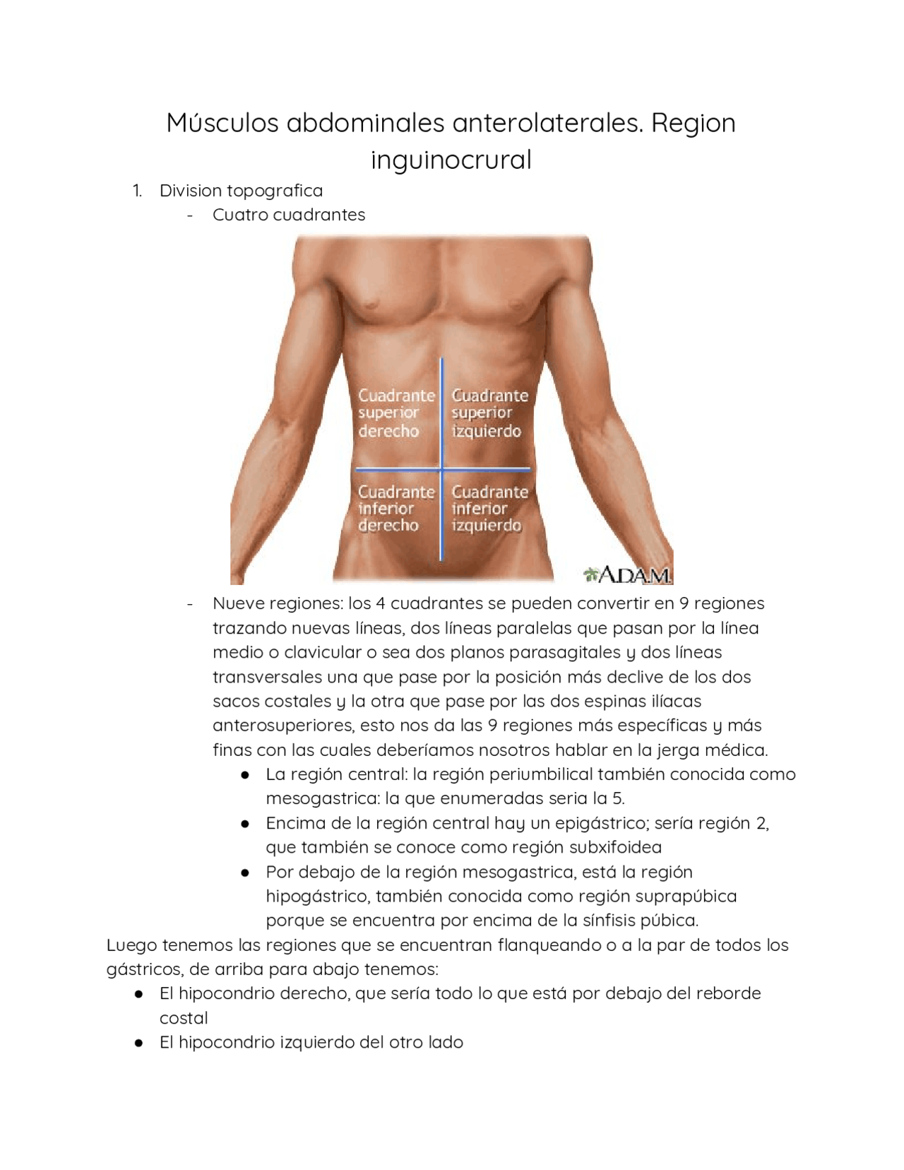 musculos abdominales anterolaterales, region inguinocrural y musculos ...