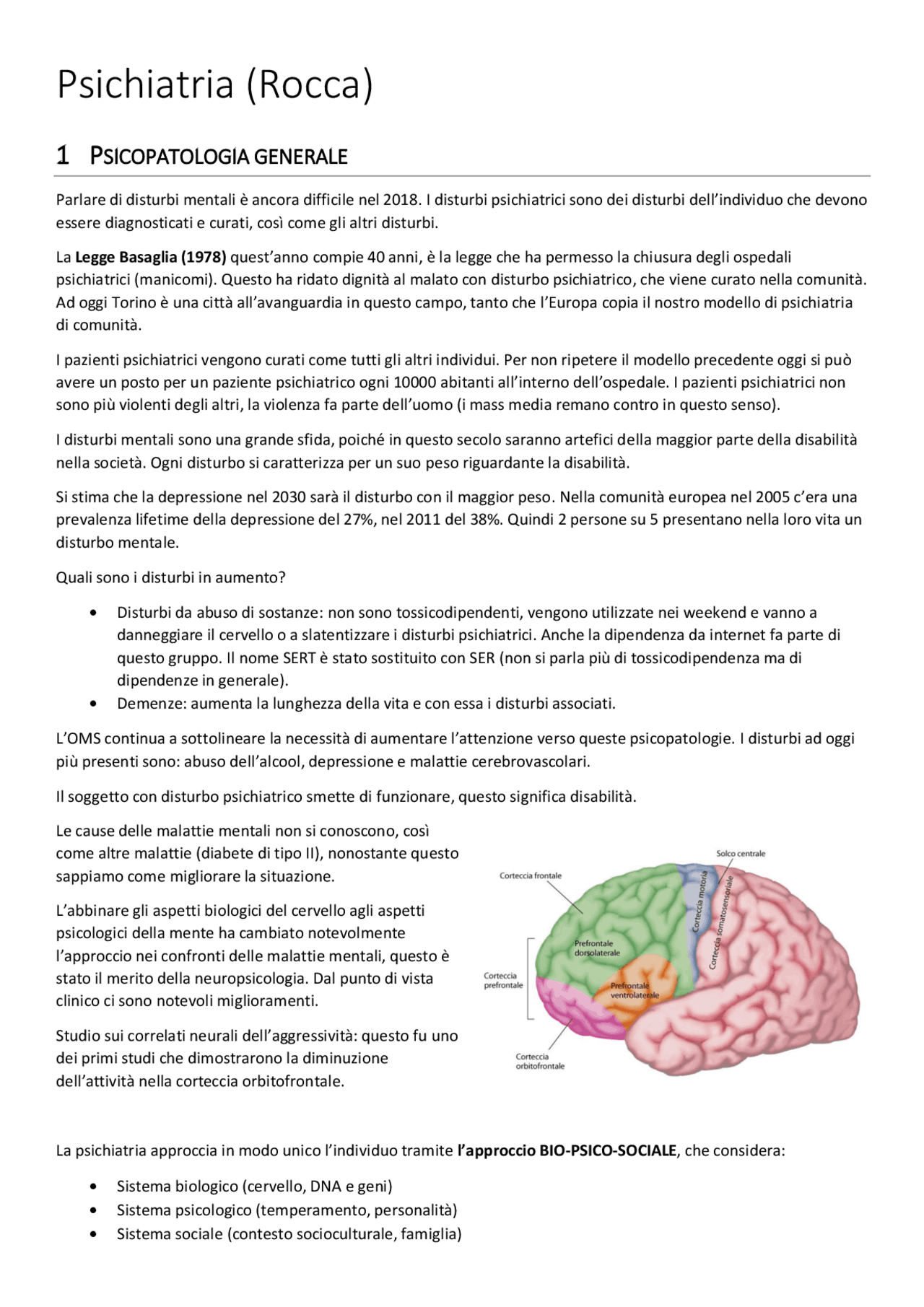 "Psichiatria" esame di Rocca e Abbate Daga (Torino) - Docsity