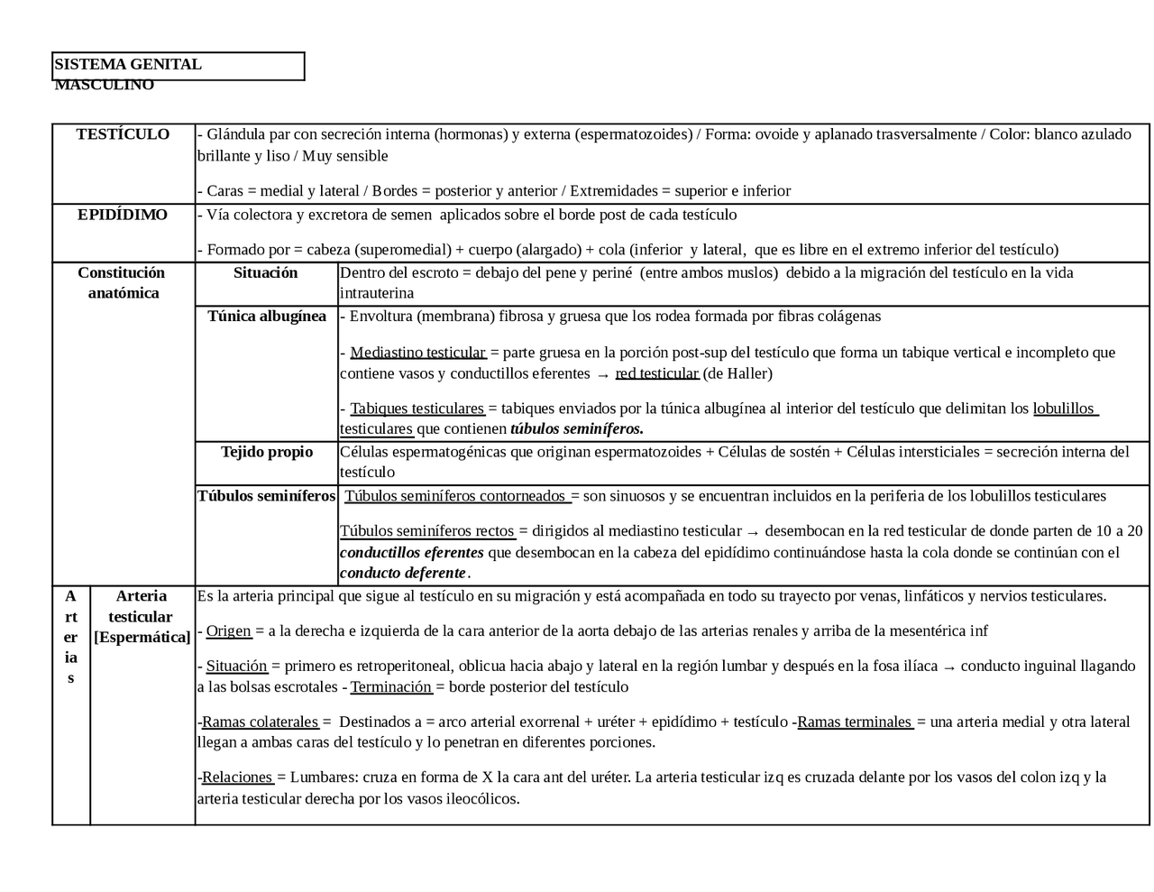 Anatomía Sist Genital Masculino Docsity