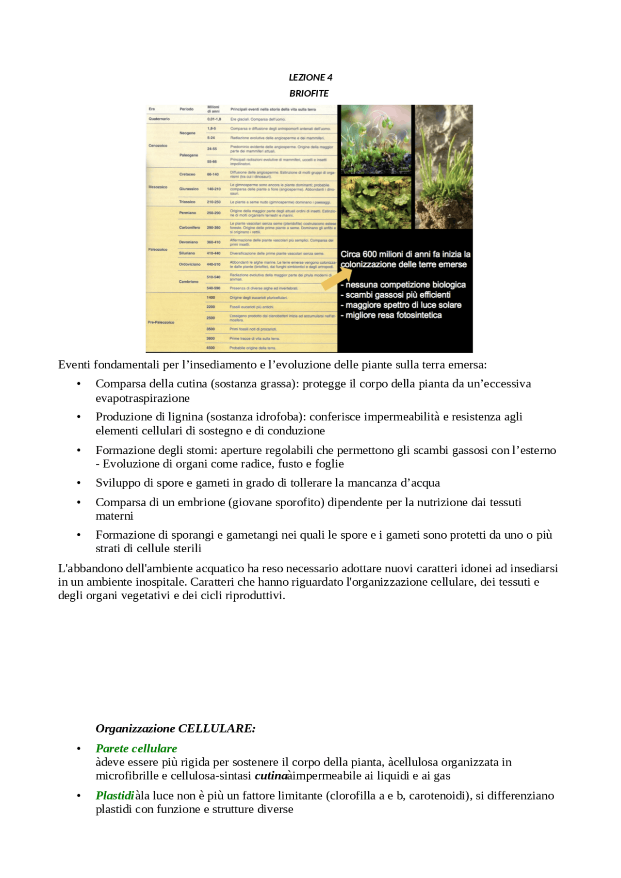 Briofite Botanica Sistematica Docsity