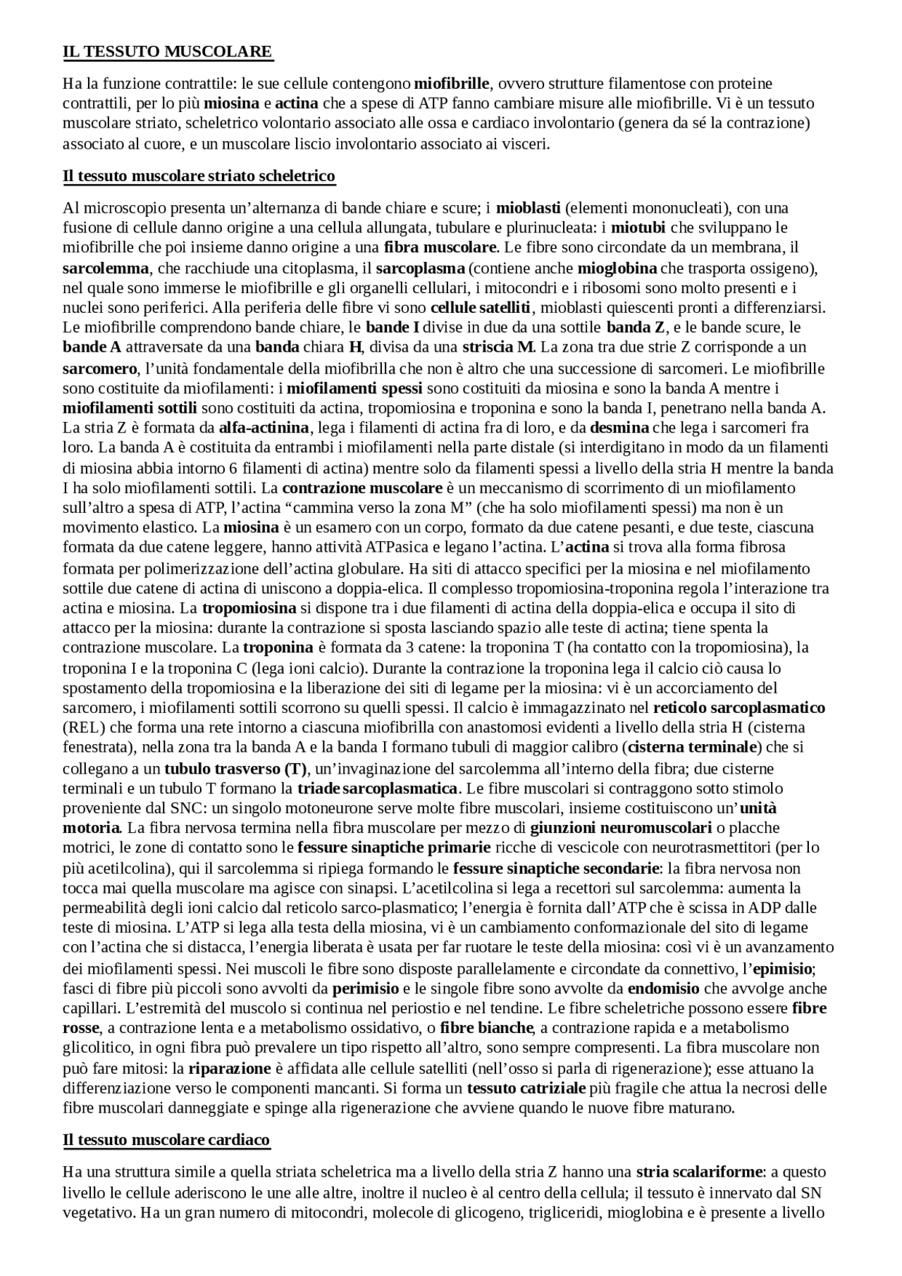 Il Tessuto Muscolare Docsity