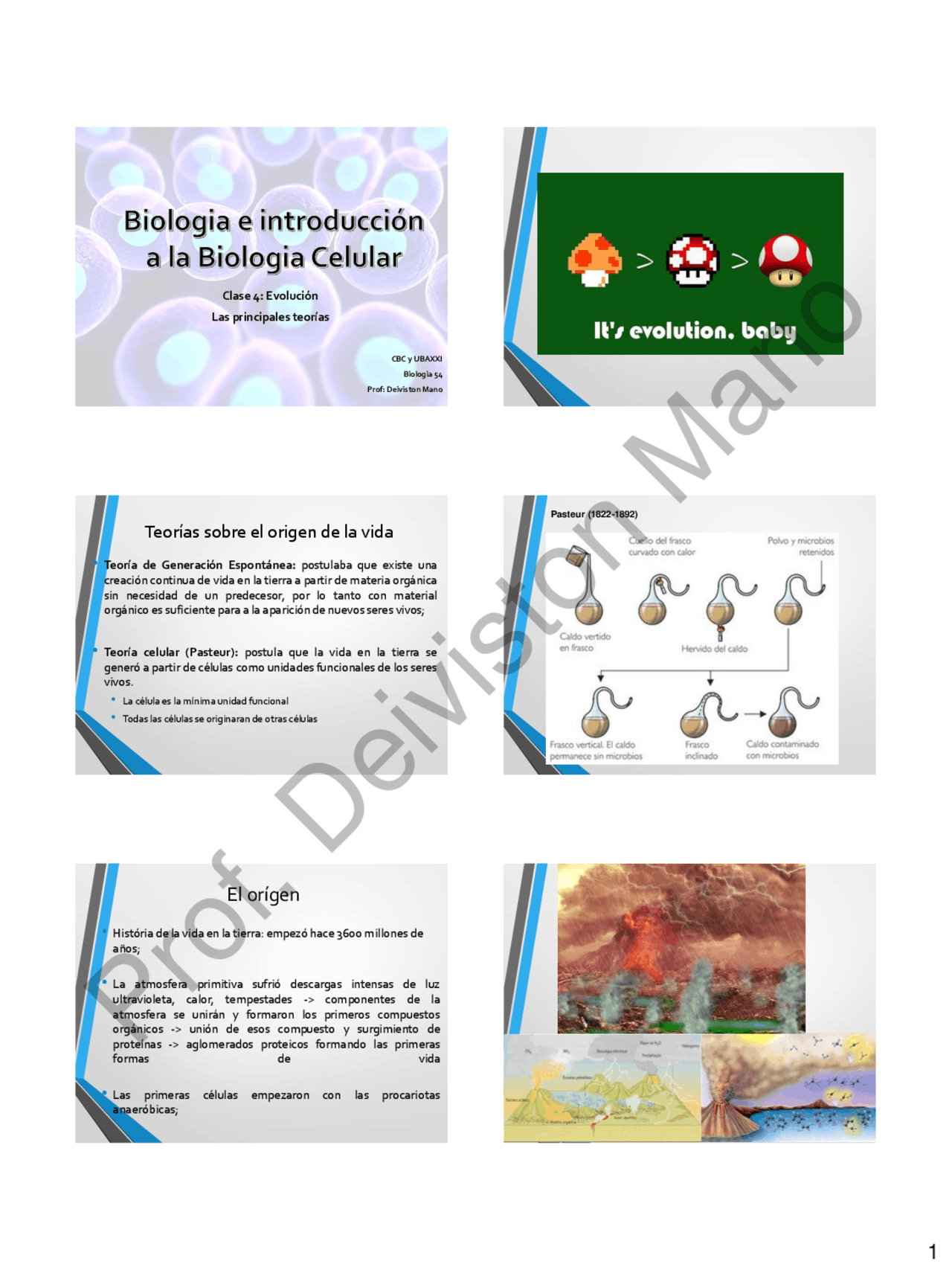 Evolución Principios Básicos Apuntes De Biología Docsity