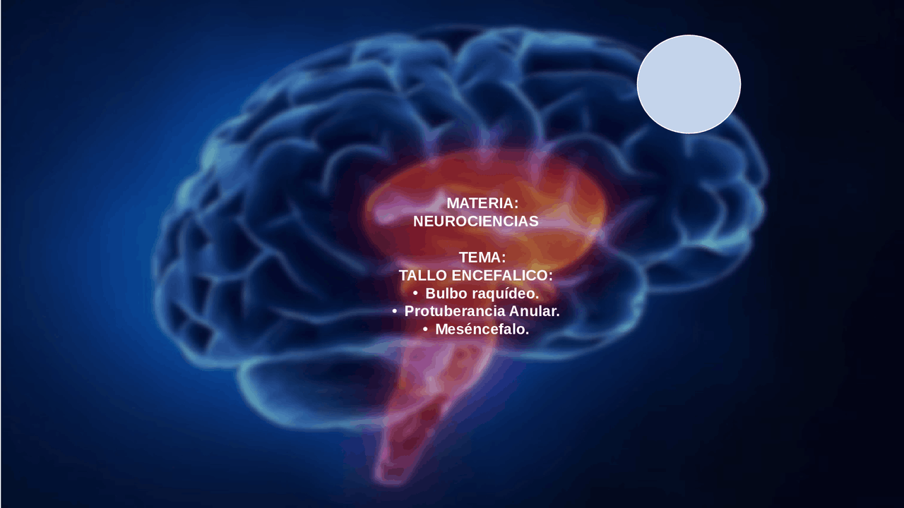 TALLO ENCEFALICO: Bulbo raquídeo. Protuberancia Anular. Meséncefalo ...