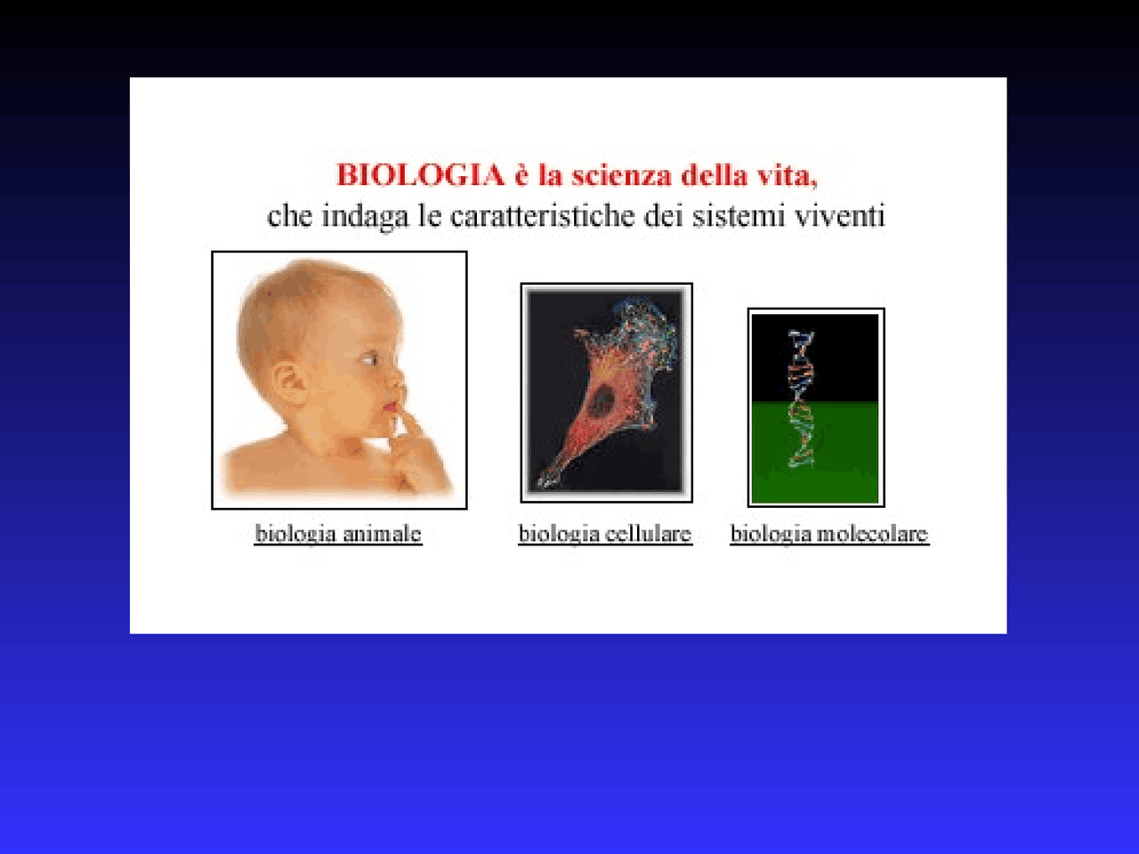 Slides Sulla Cellula Docsity