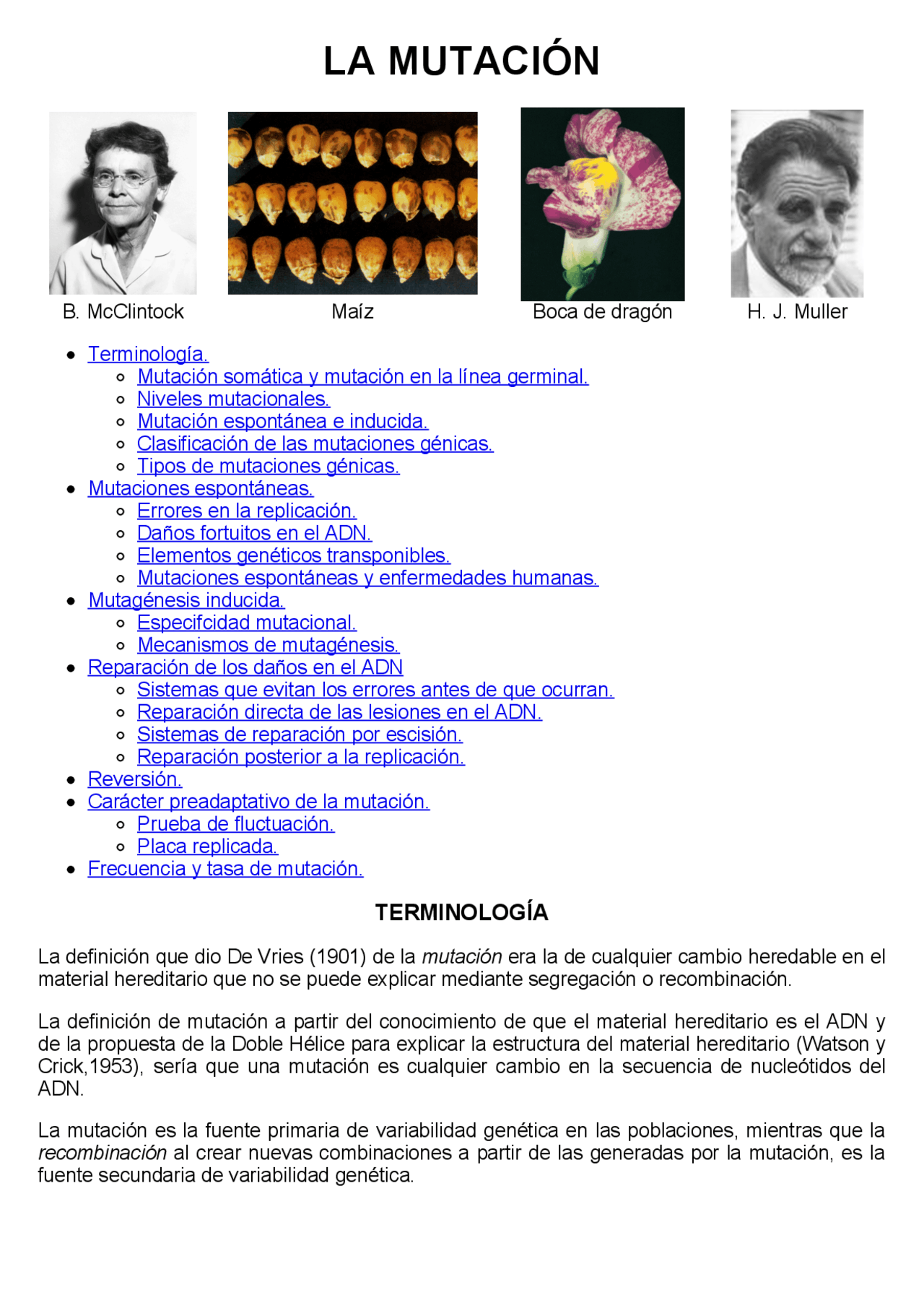 LA MUTACIÓN GENÉTICA HUMANA - Docsity