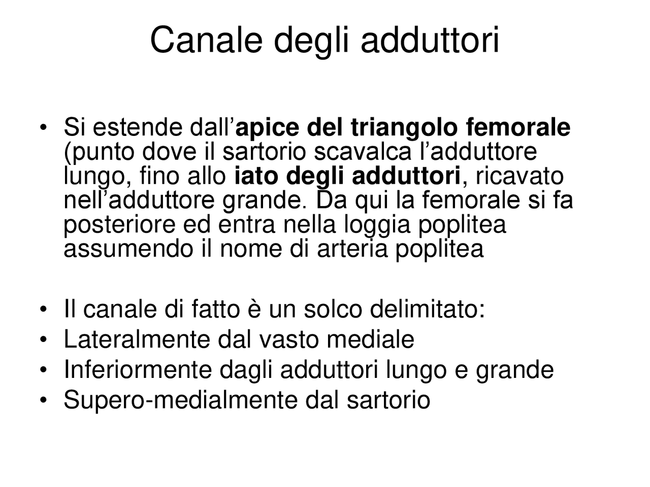 Canale degli adduttori | Slide di Anatomia | Docsity