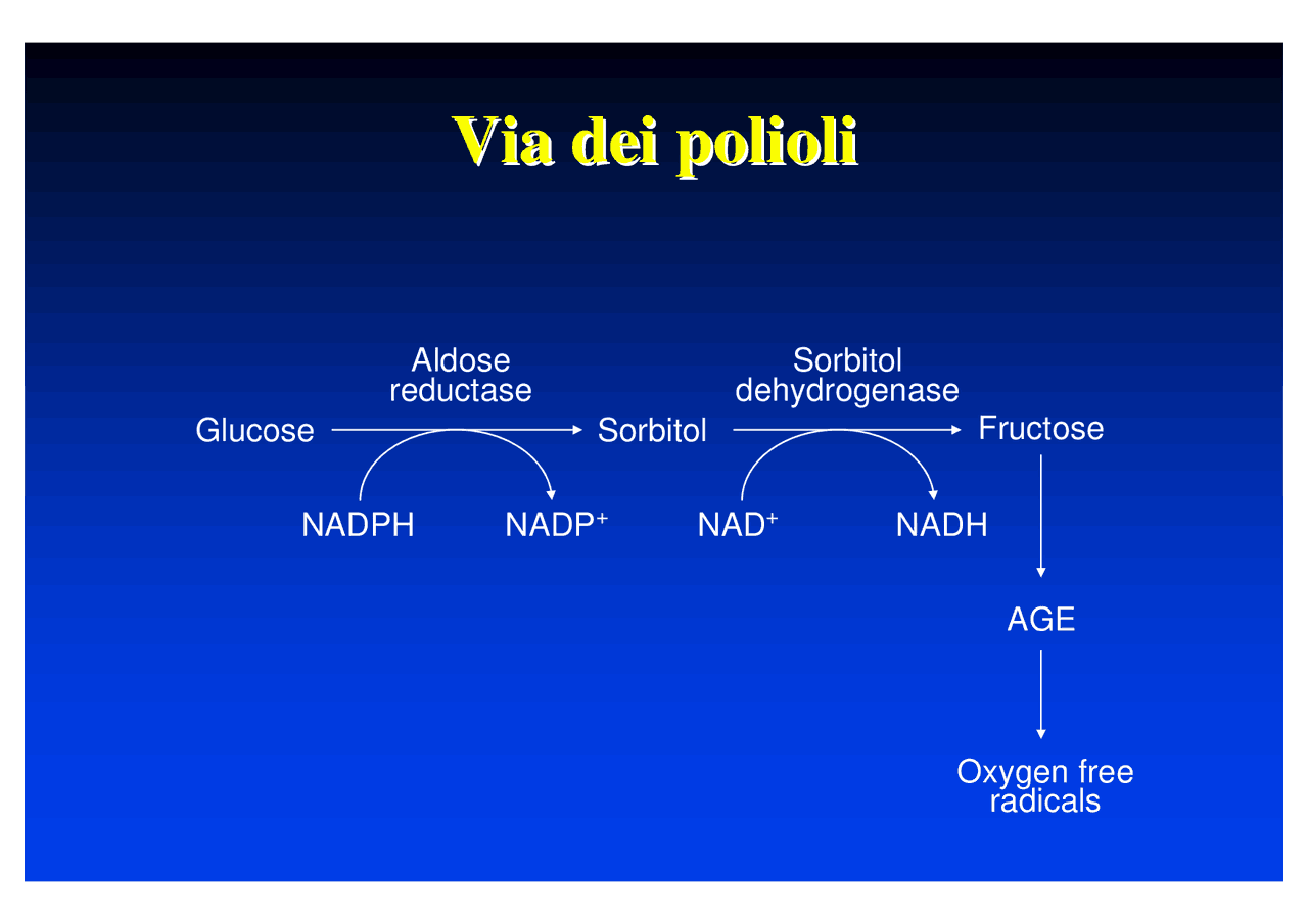 Schemi riguardanti la Via dei Polioli | Sintesi del corso di Medicina ...