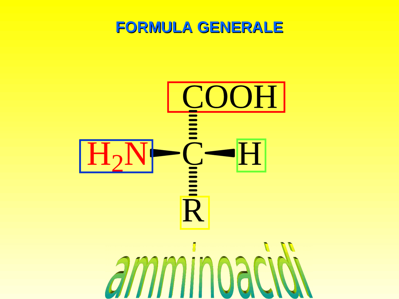 Amminoacidi E Proteine Docsity