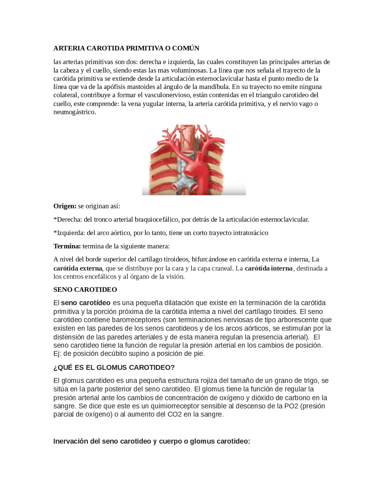 Arteria carotida primitiva comun | Apuntes de Anatomía - Docsity
