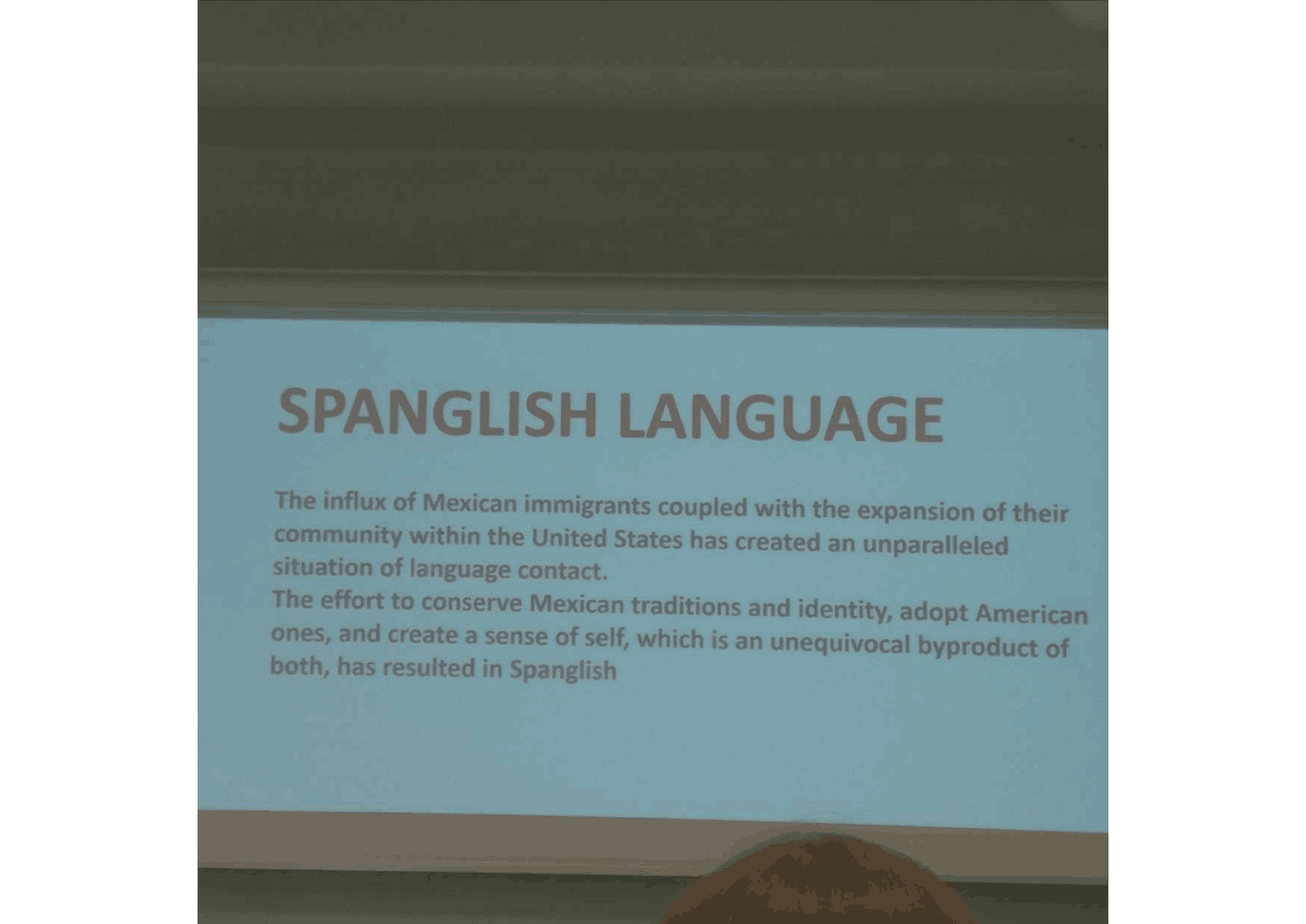 SPANGLISH Language slide - Docsity