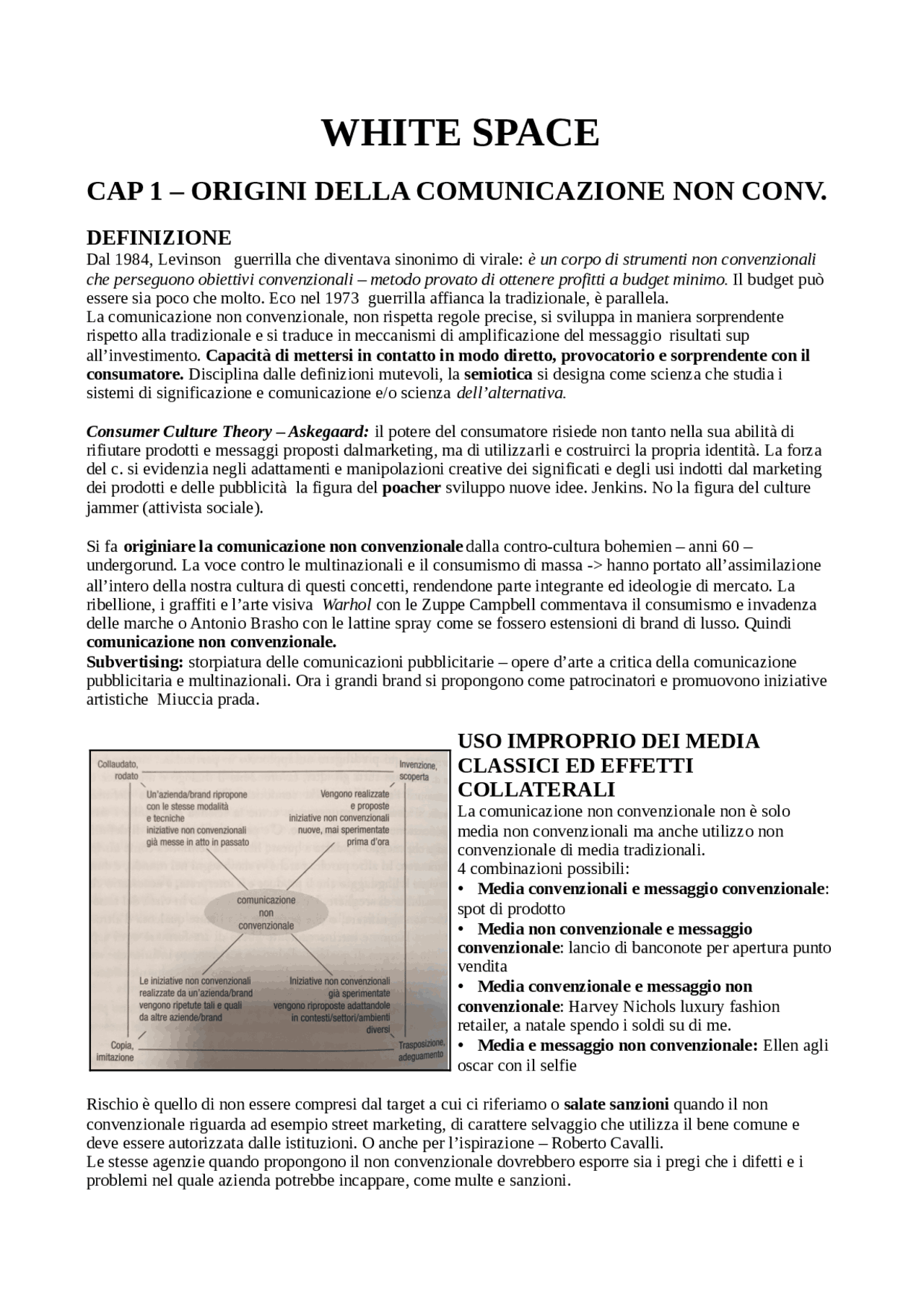 Riassunto White Spaces Docsity