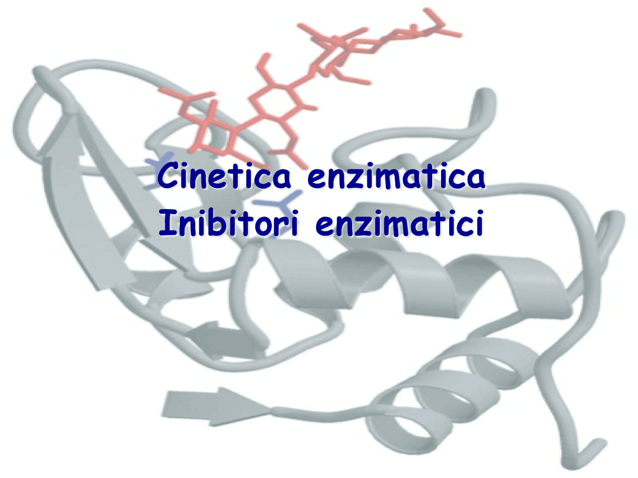 Enzimi Catalizzatori Docsity