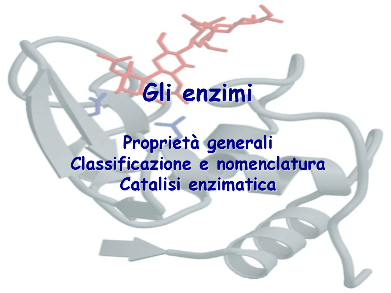 Enzimi Catalizzatori Docsity