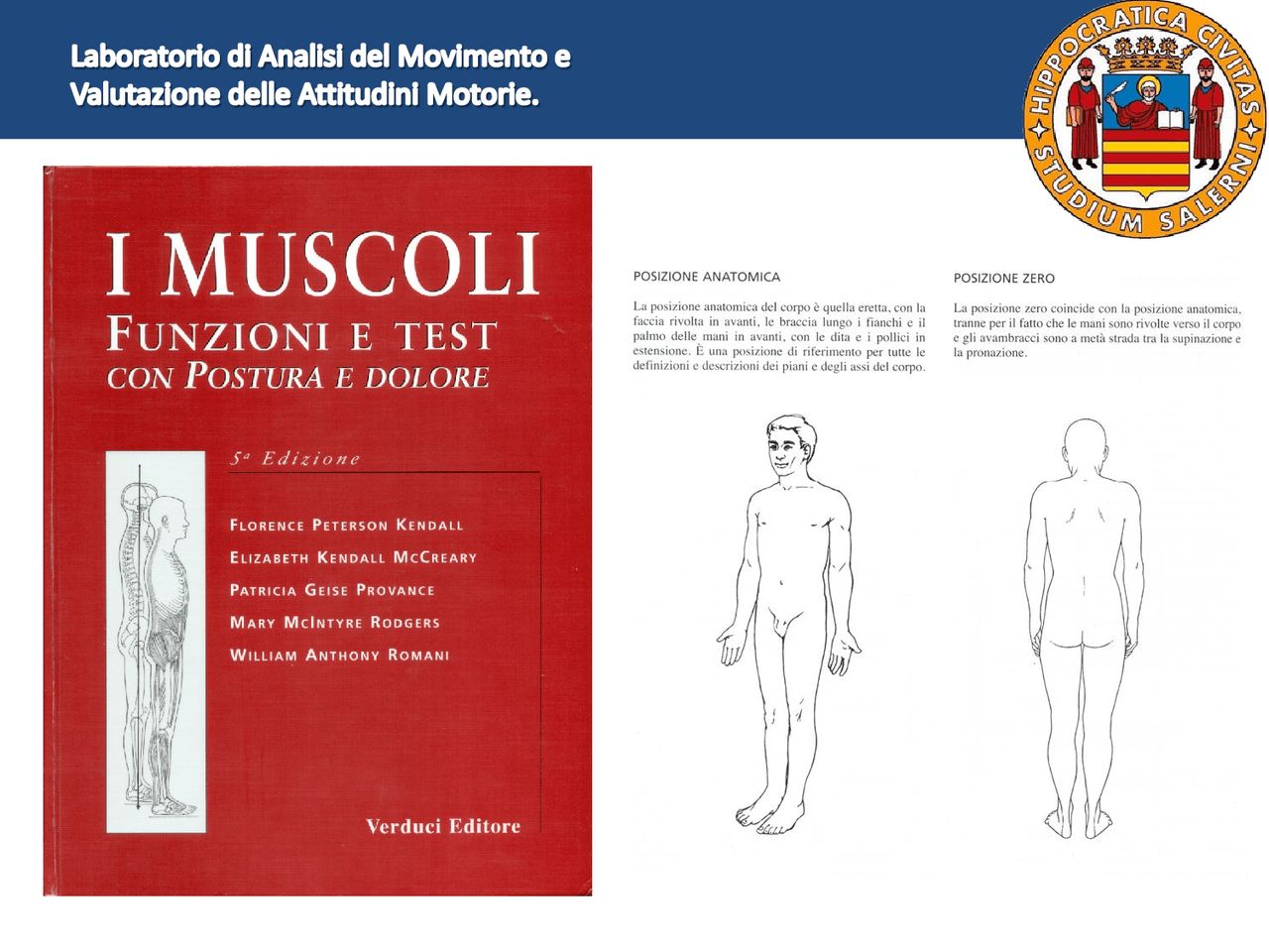 Slide Anatomia 1 Scienze Motorie Docsity