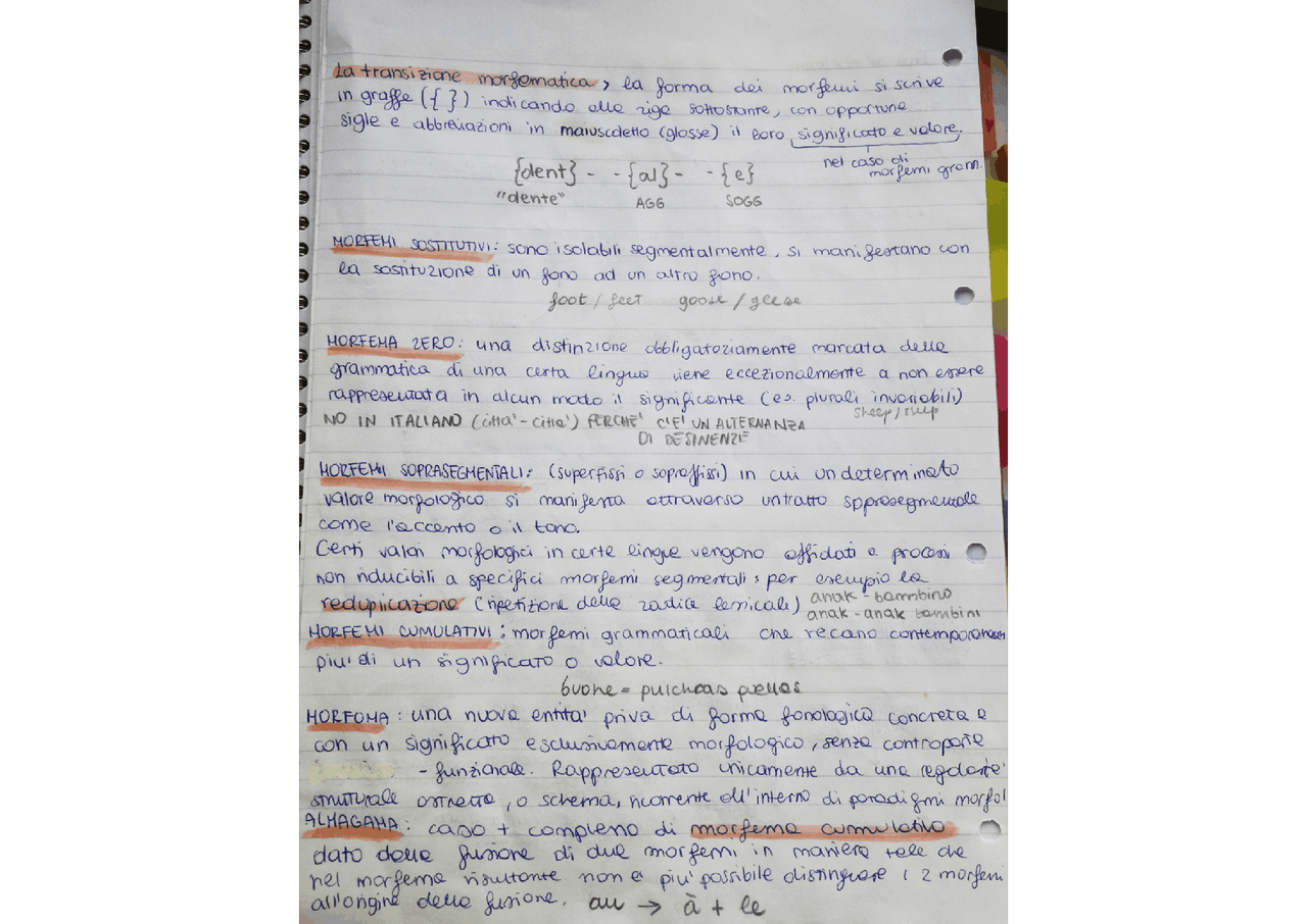 Appunti Morfologia 1 Docsity