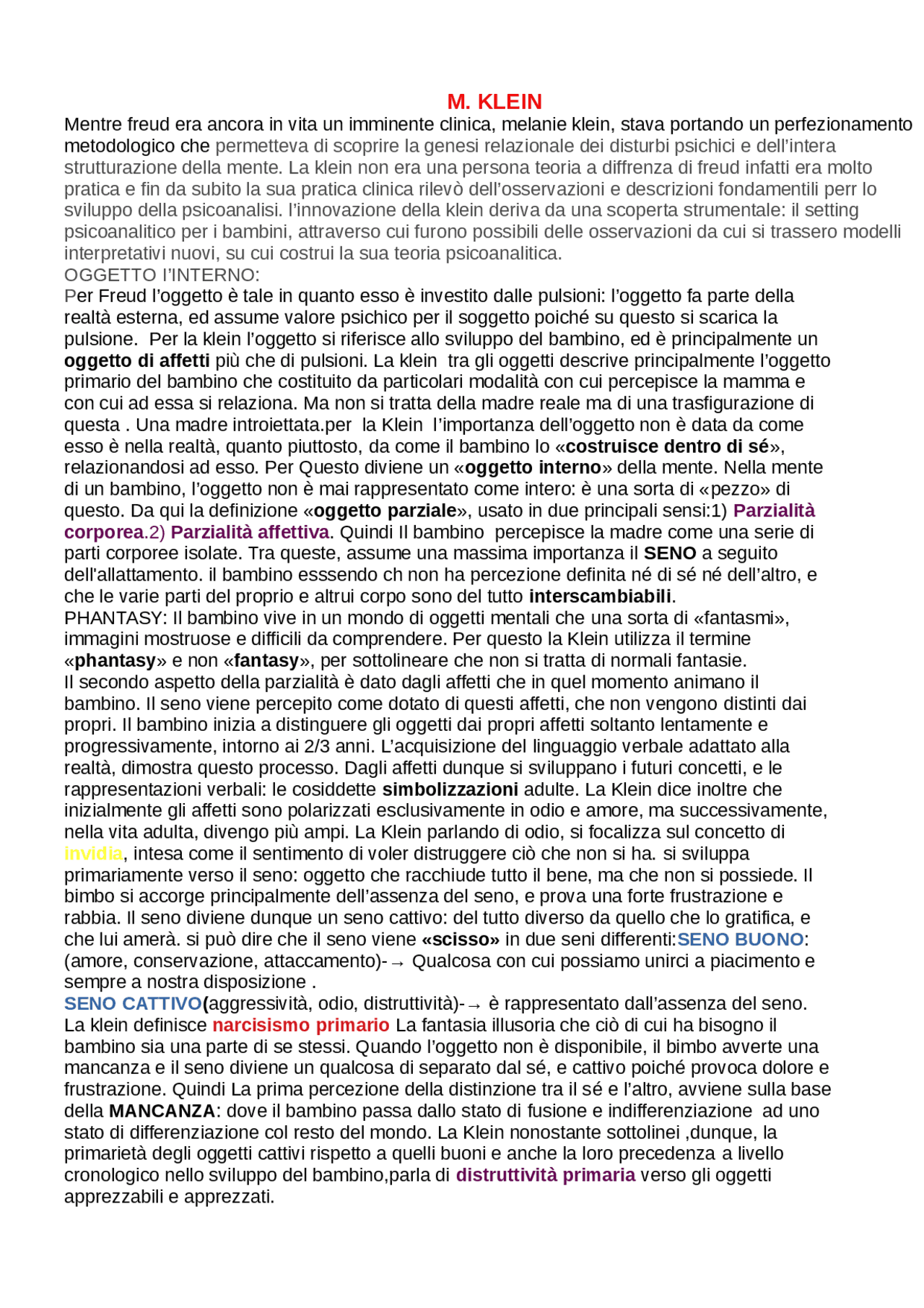 Riassunto Sulla Klein Ottimo Docsity