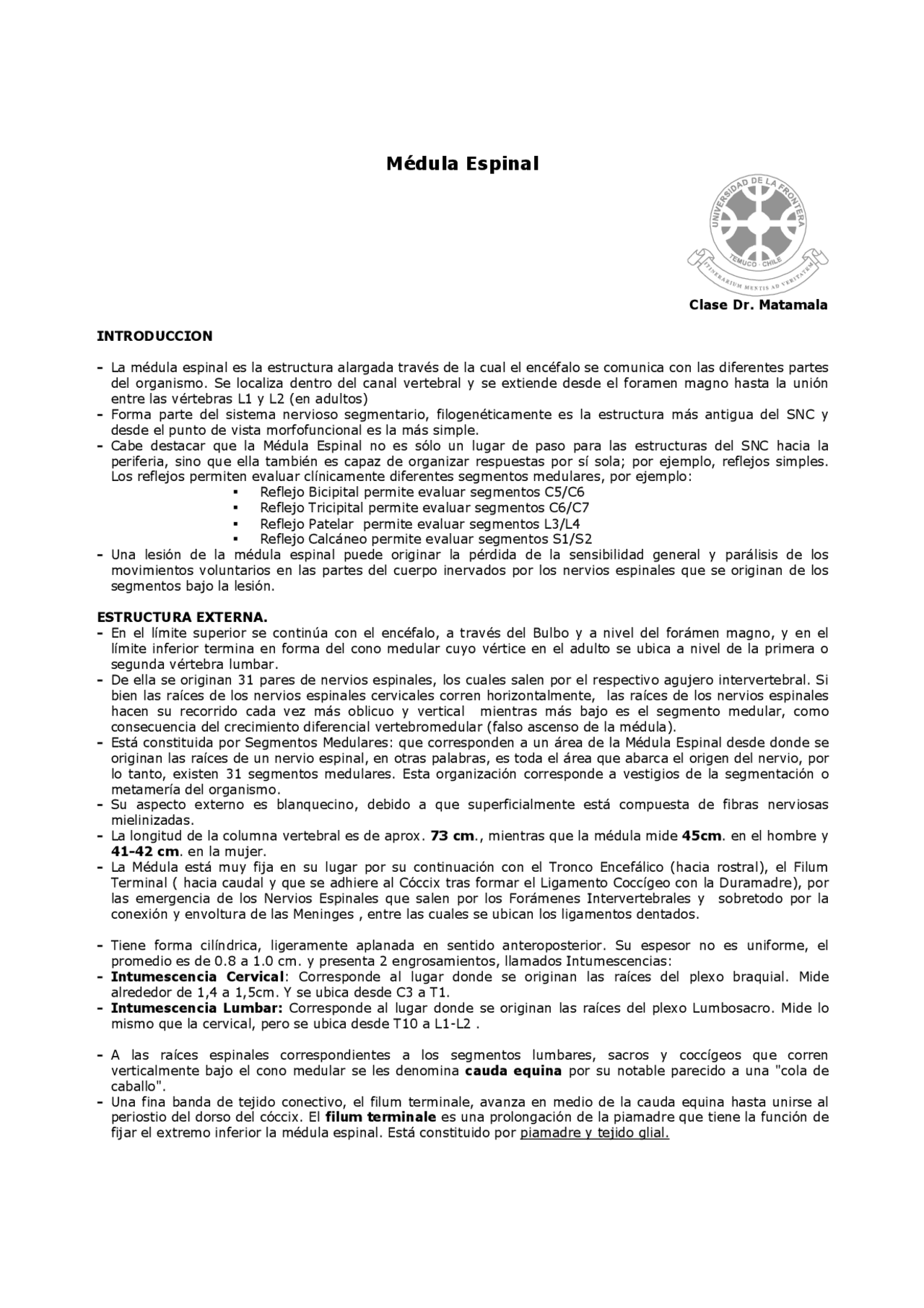 Médula Espinal Resumen Docsity