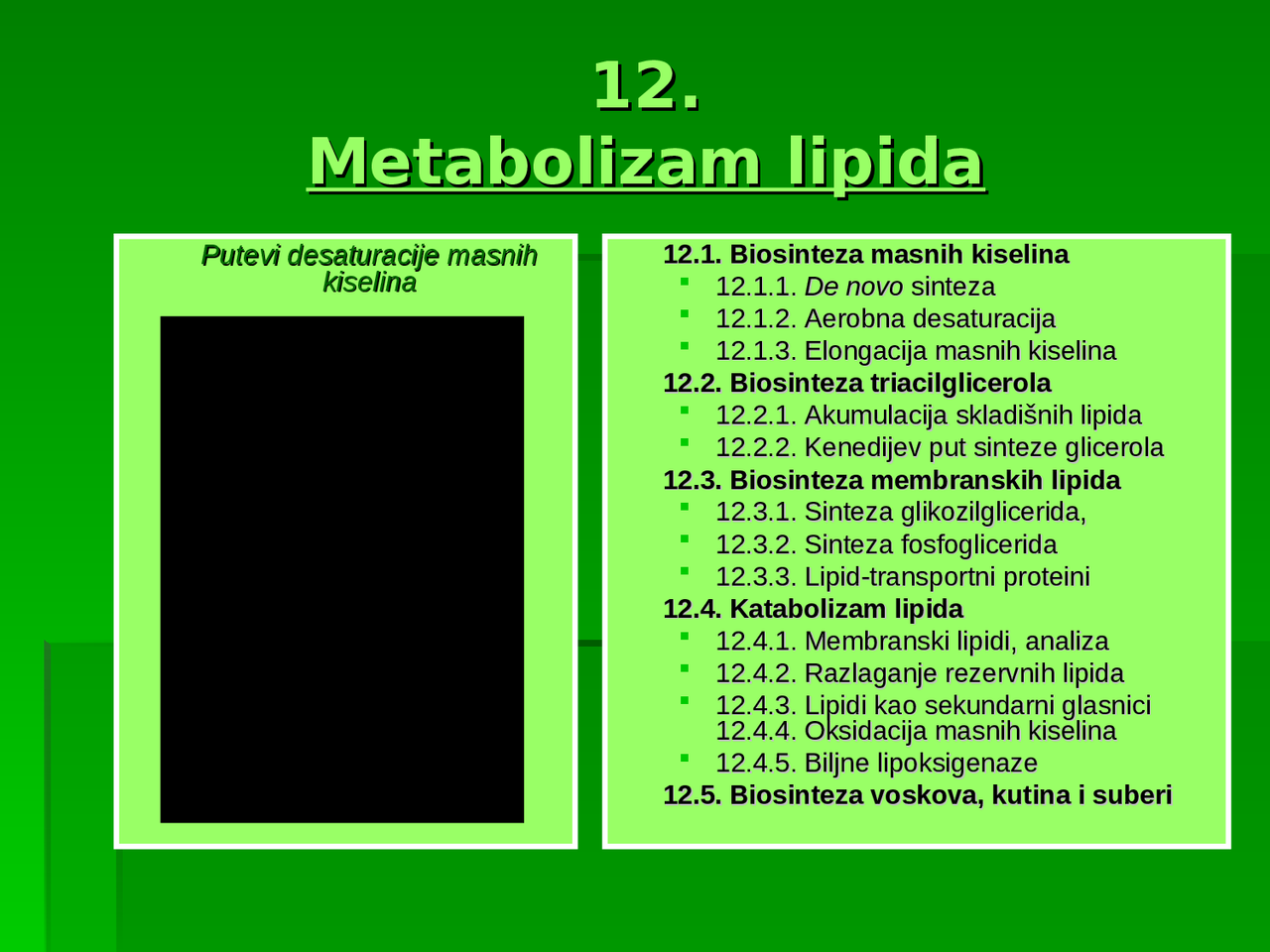 Lipidi metabolizam, skracena verzija, sa predavanja | Skripte' predlog ...