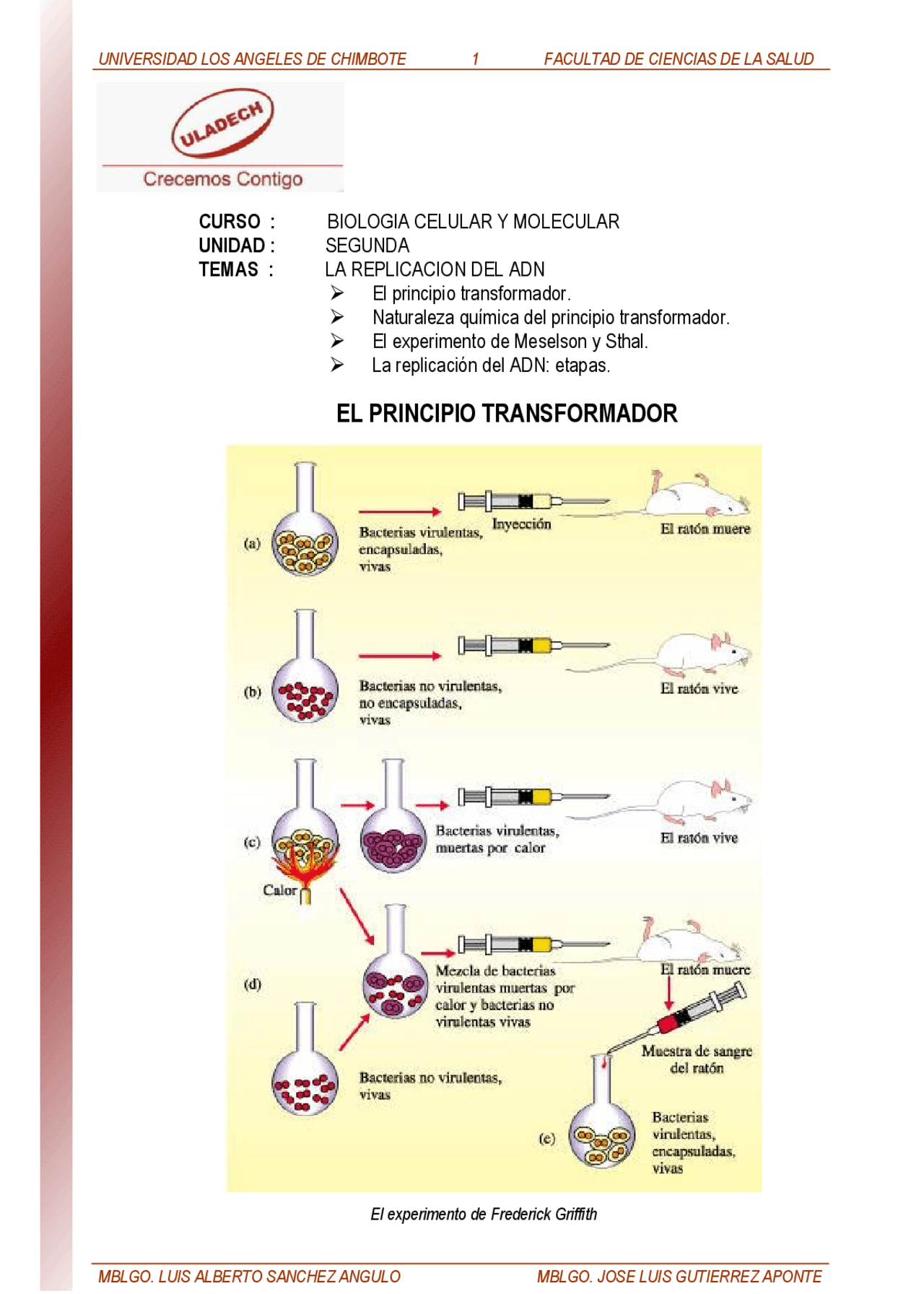 Replicacion Del Adn Transcripcio Y Transduccion Lectures De