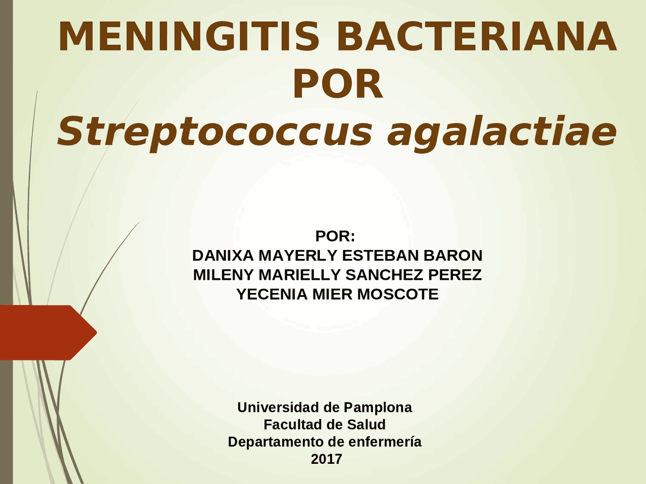 Meningitis Bacteriana Docsity