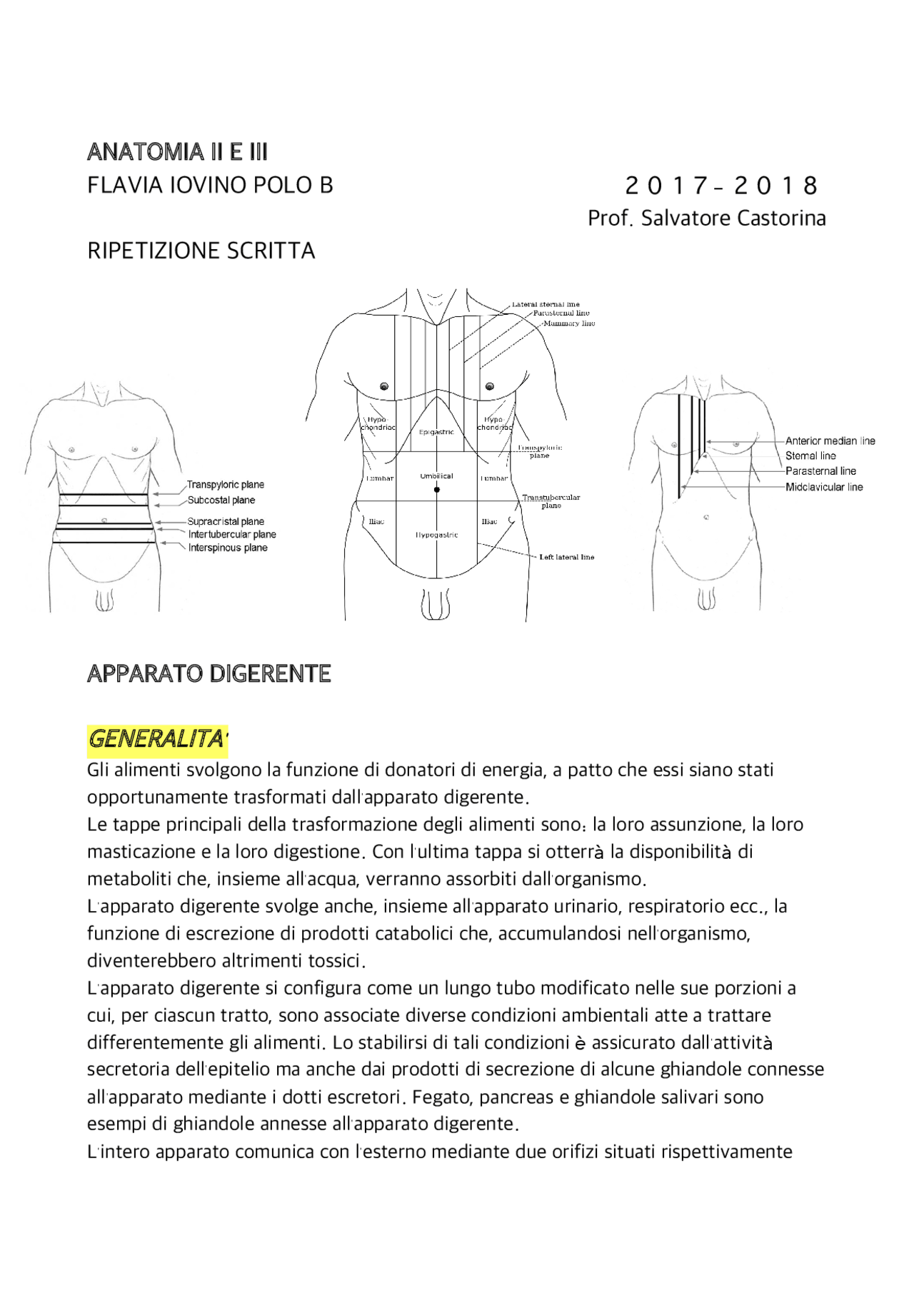 Riassunti Di Anatomia 2 Docsity