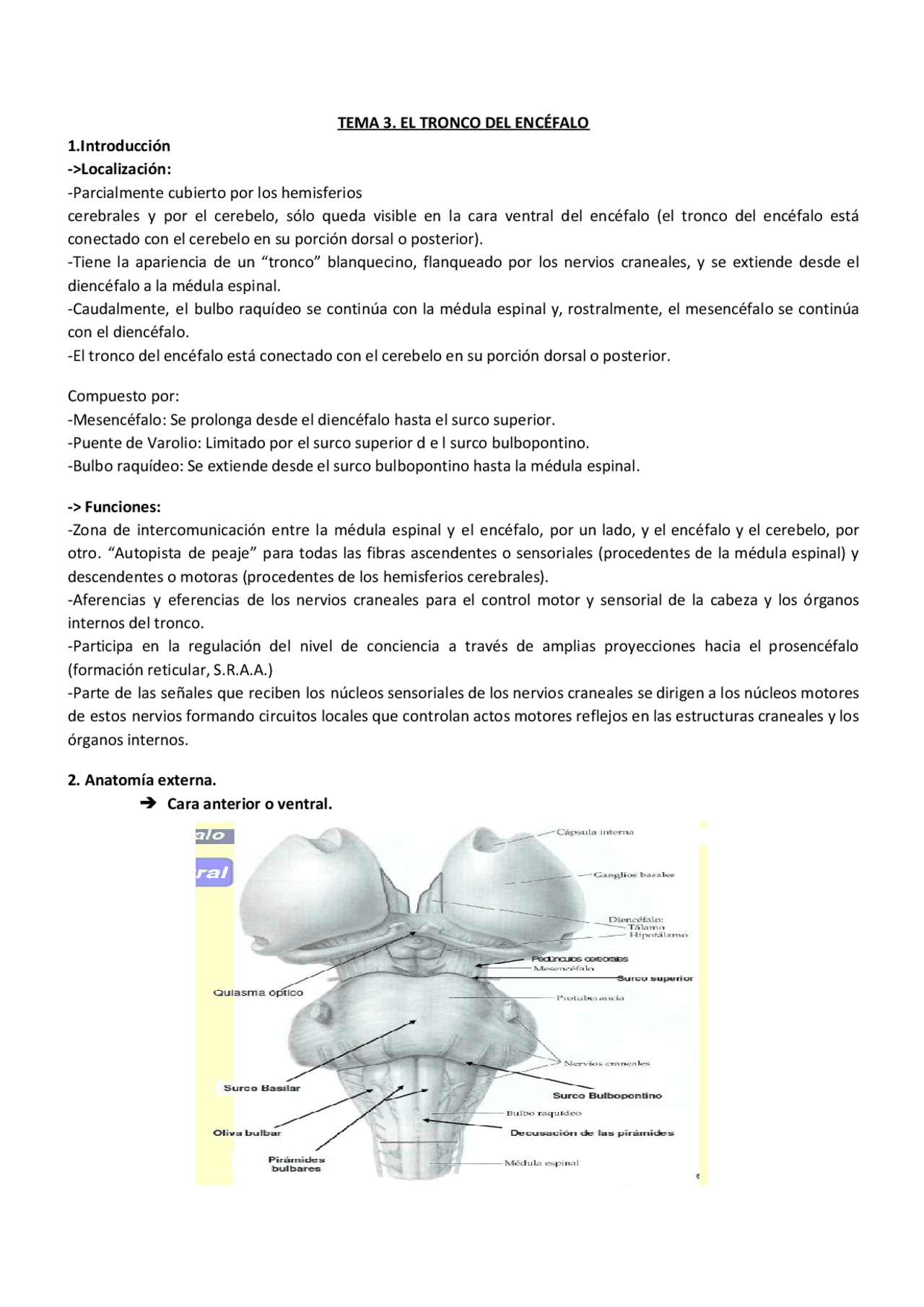 Resúmenes Psicobiología Ii Docsity