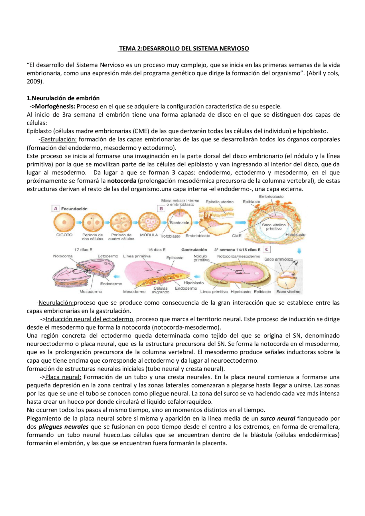 Resúmenes Psicobiología Ii Docsity