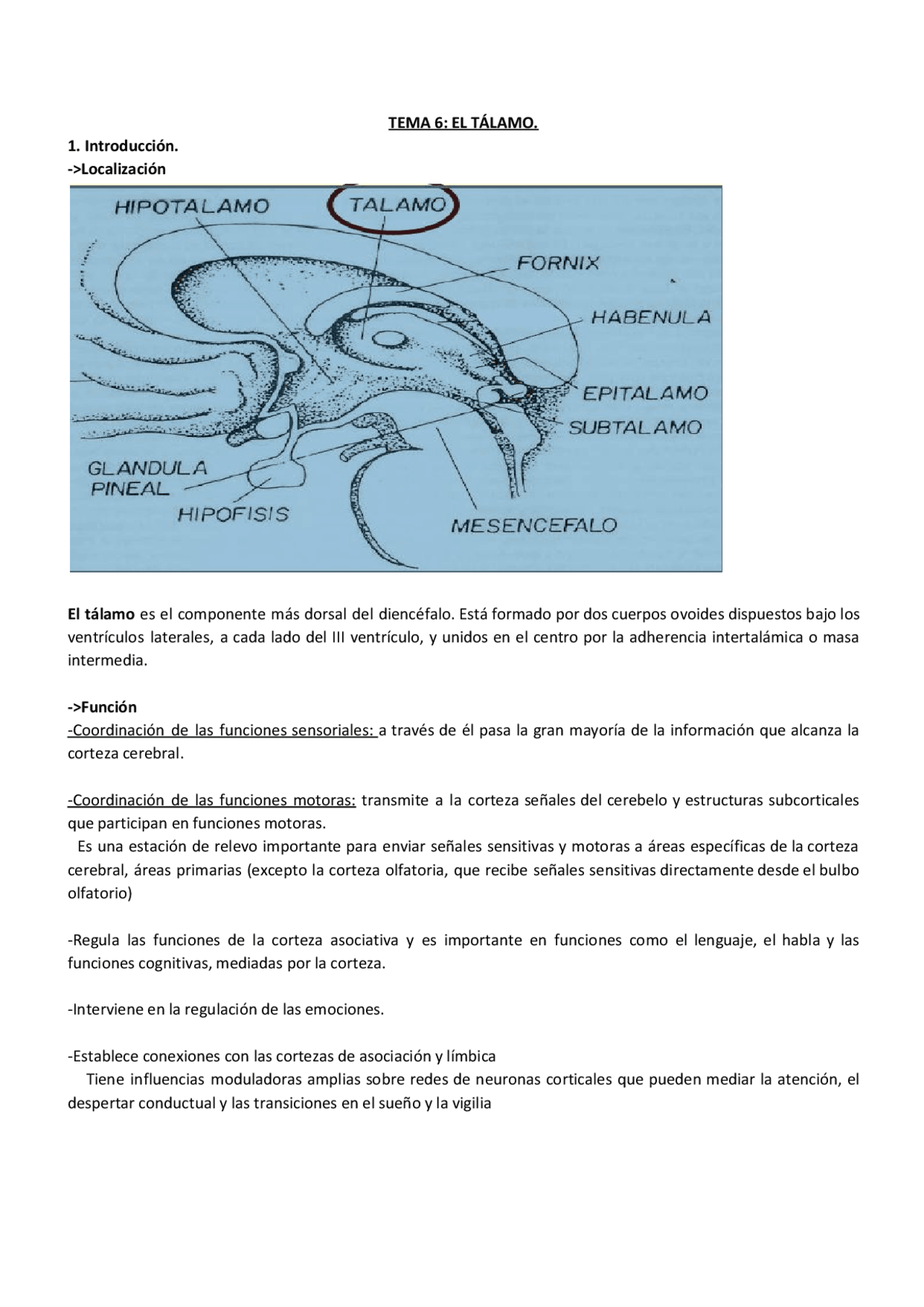 Resúmenes Psicobiología Ii Docsity