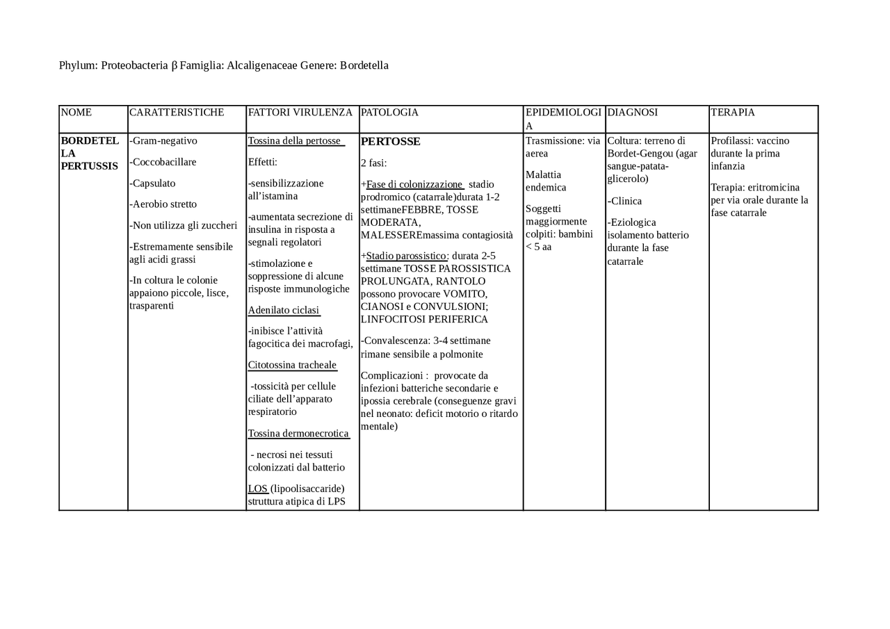 Schemi Batteri Trattati A Lezione Docsity