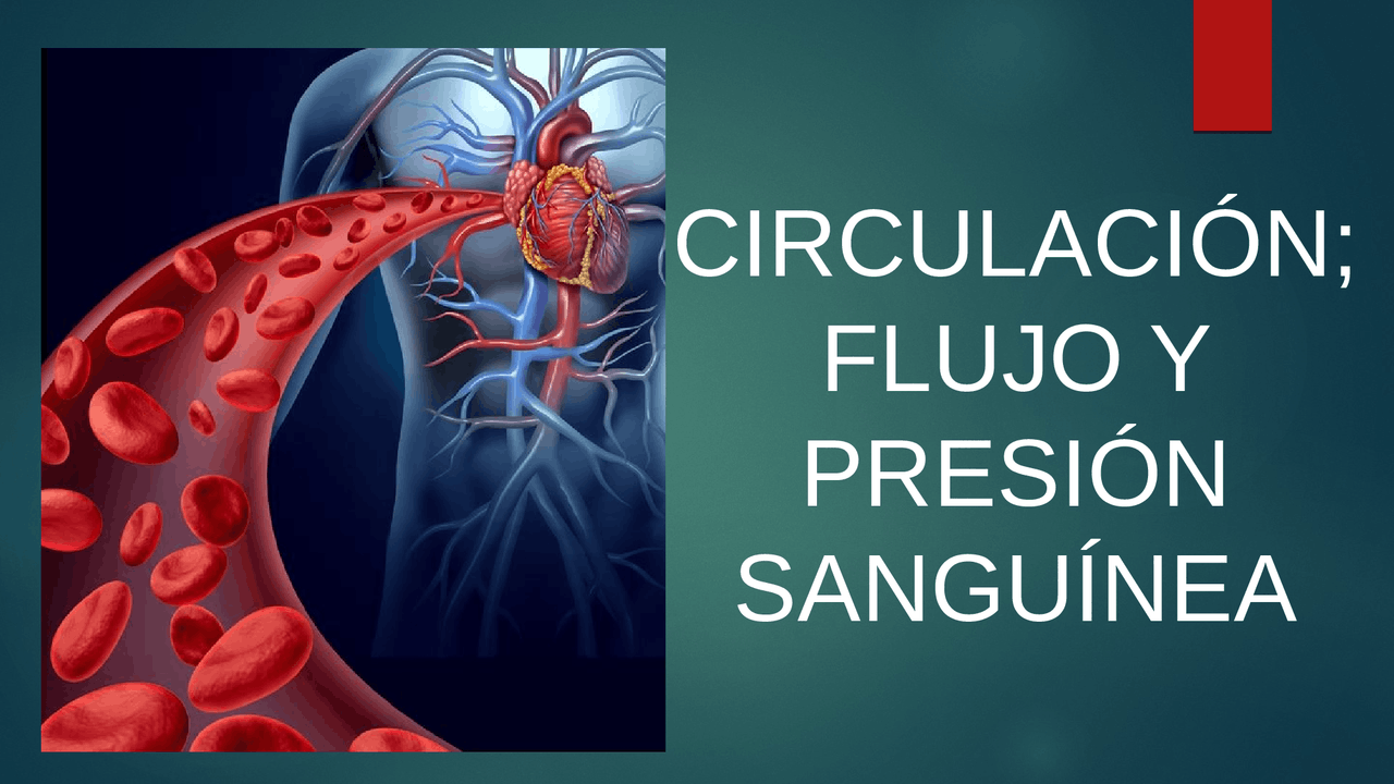 Flujo sanguíneo y presión arterial | Apuntes de Fisiología | Docsity