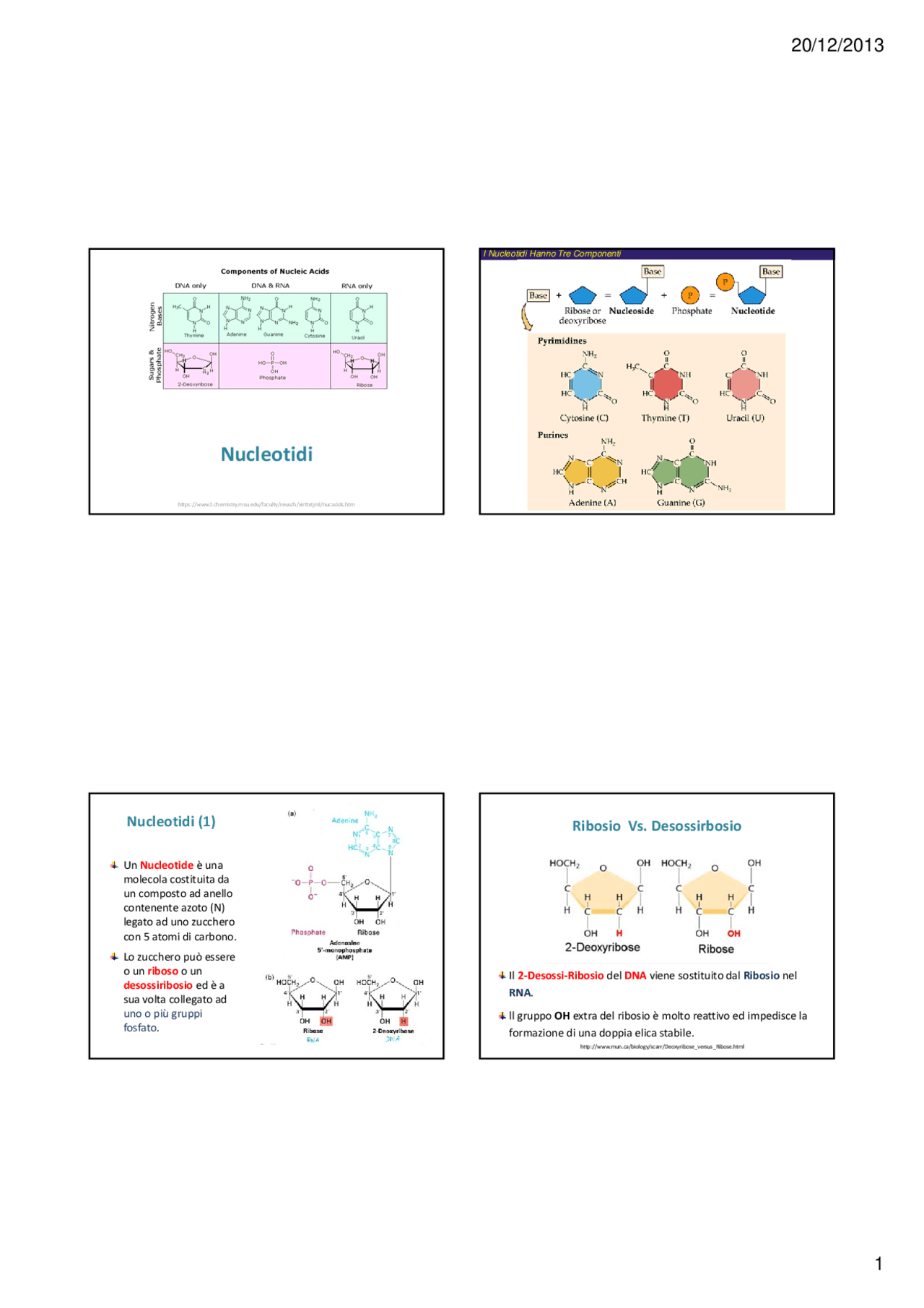 Nucleotidi, basi azotate. biochimica | Appunti di Biochimica - Docsity