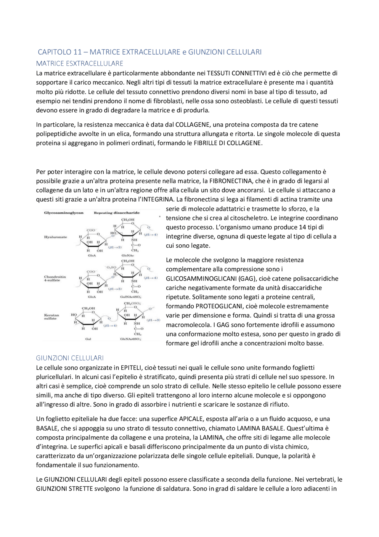 Biologia Della Cellula Eucariota Appunti Di Biologia Docsity