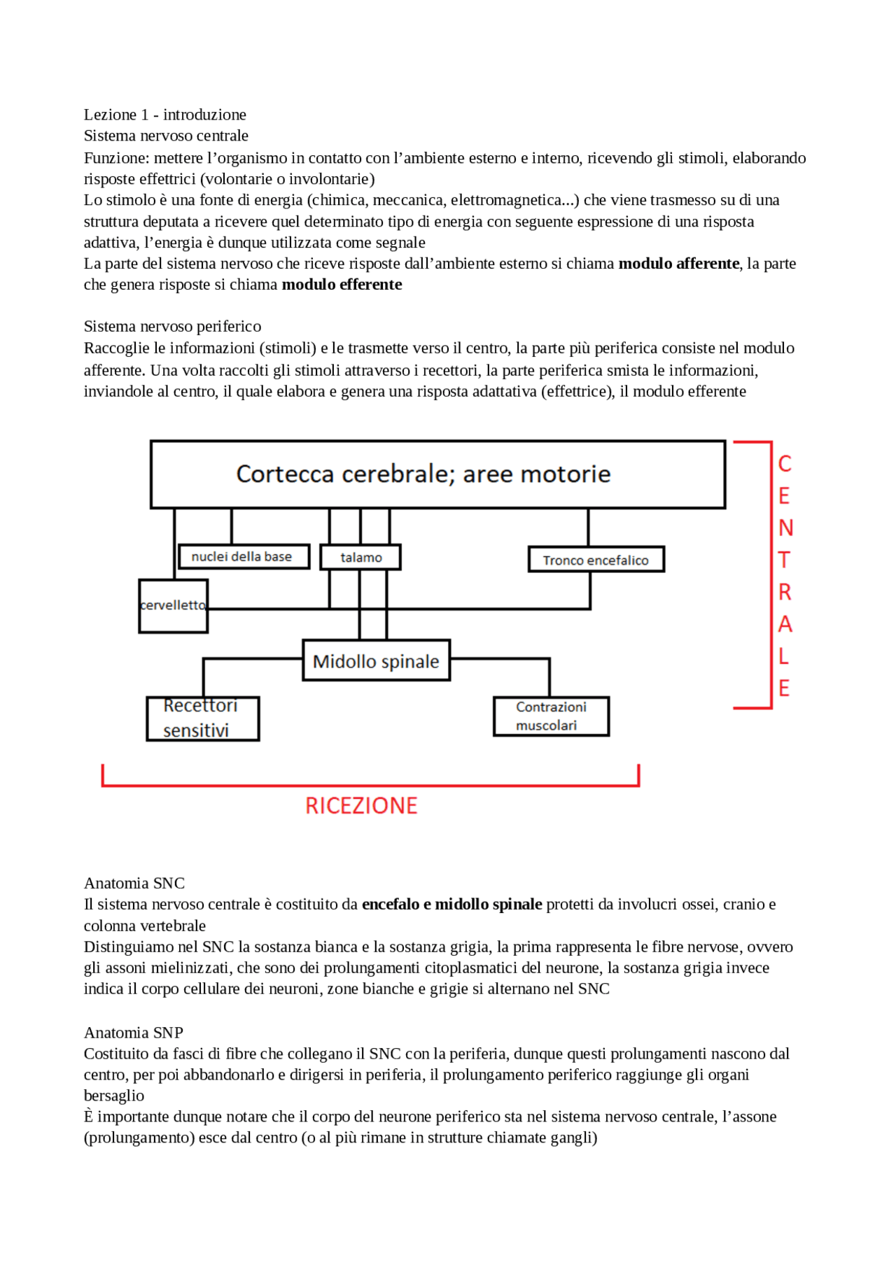 Appunti Neurologia Scienze Motorie Docsity