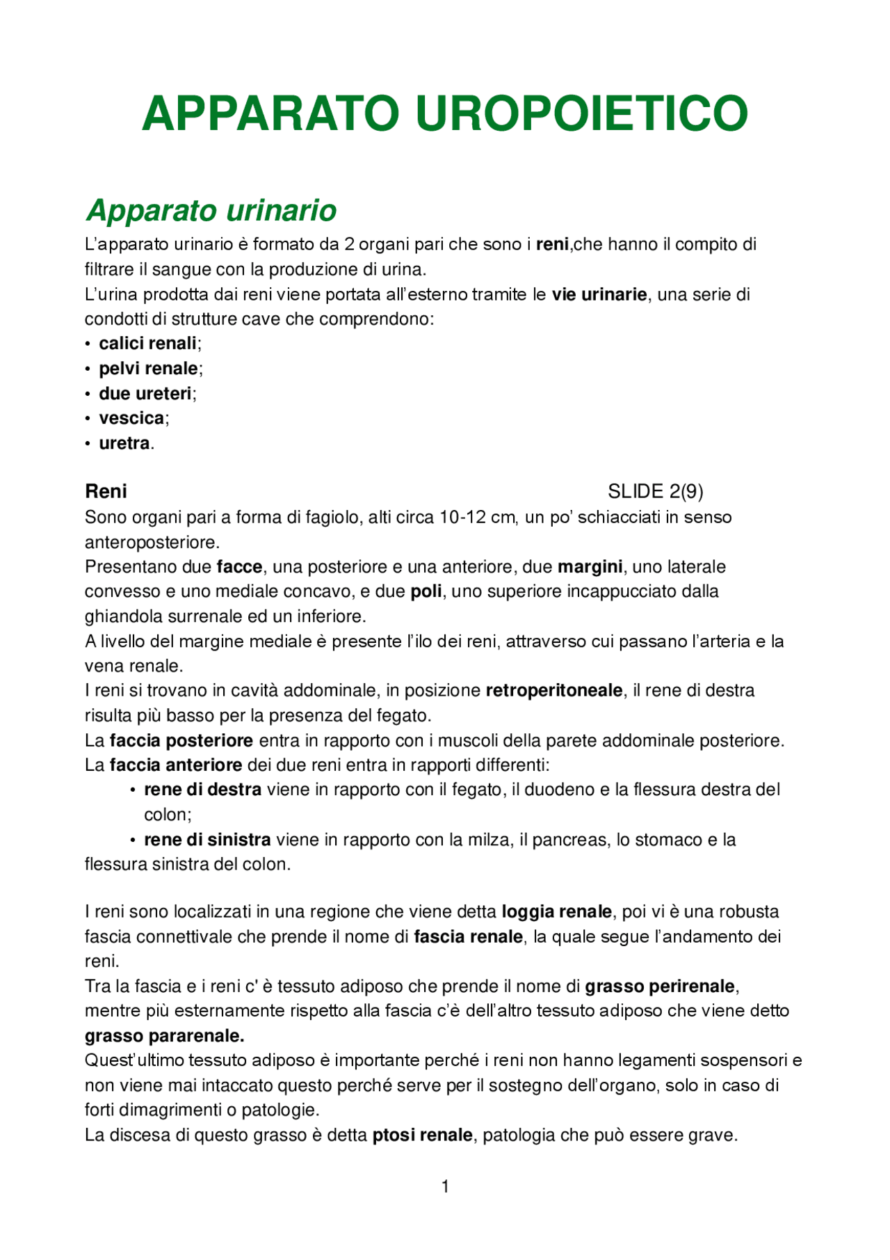 Anatomia Umana Appunti Sbobinati Ctf Unimore Docsity