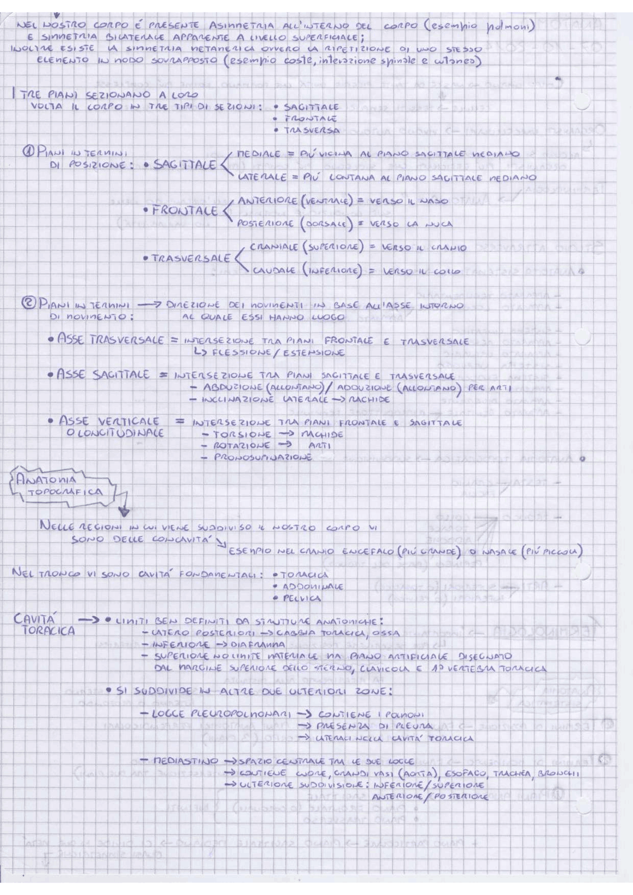 Anatomia Introduzione Seconda Parte Docsity
