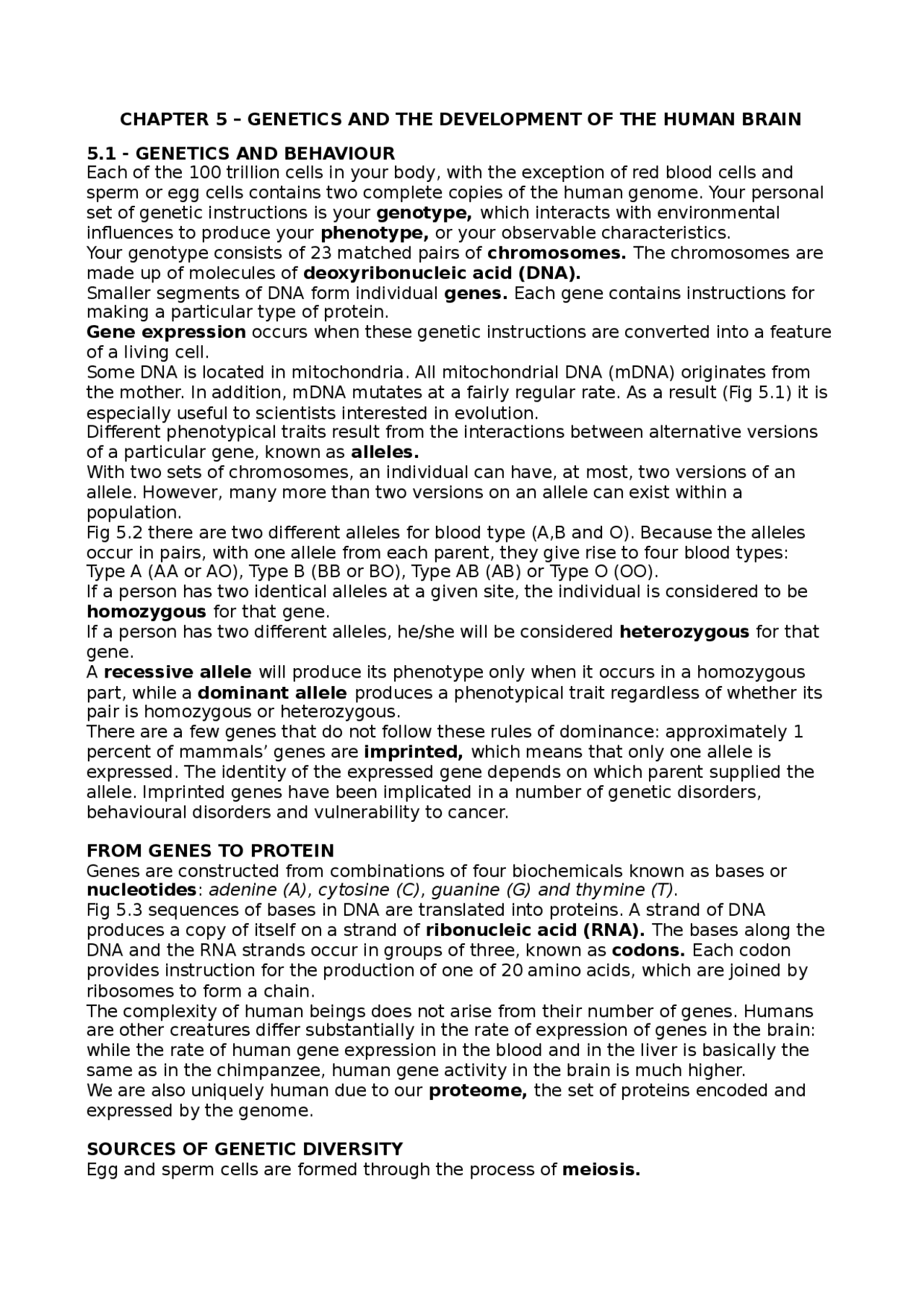 Chapter 5 Brain And Behaviour Docsity