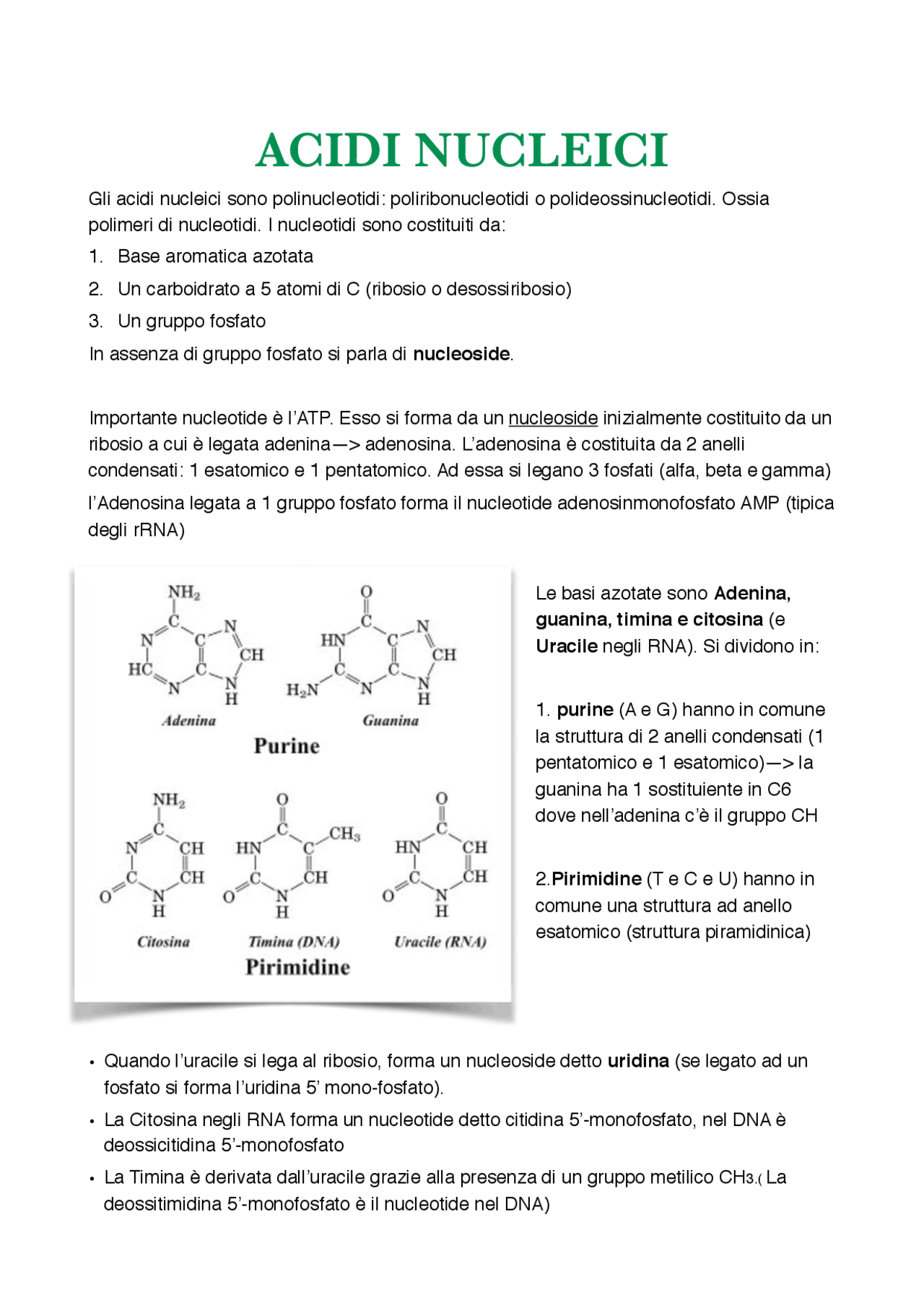 Biochimica Degli Acidi Nucleici Docsity