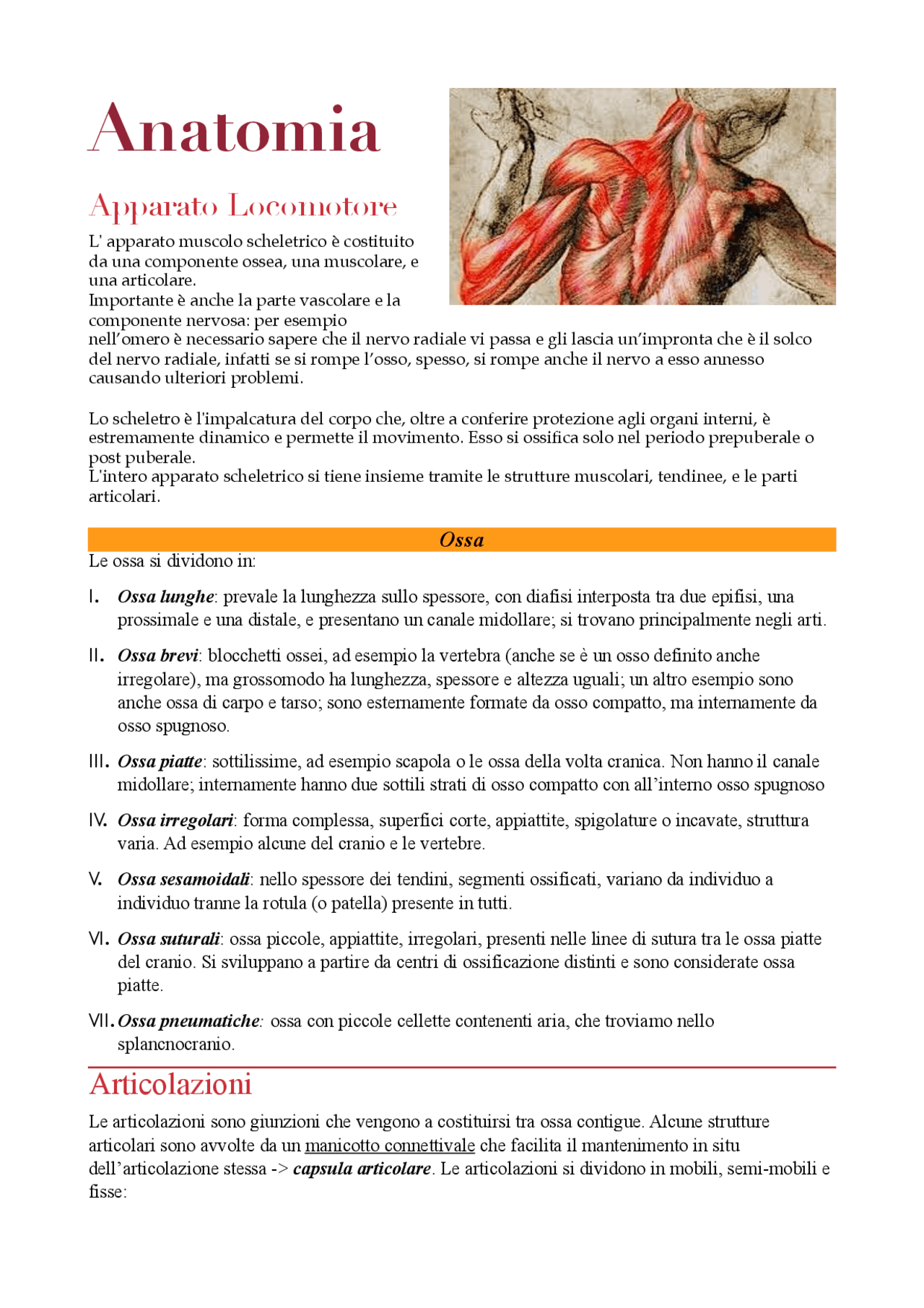 Anatomia dell'apparato locomotore - Docsity