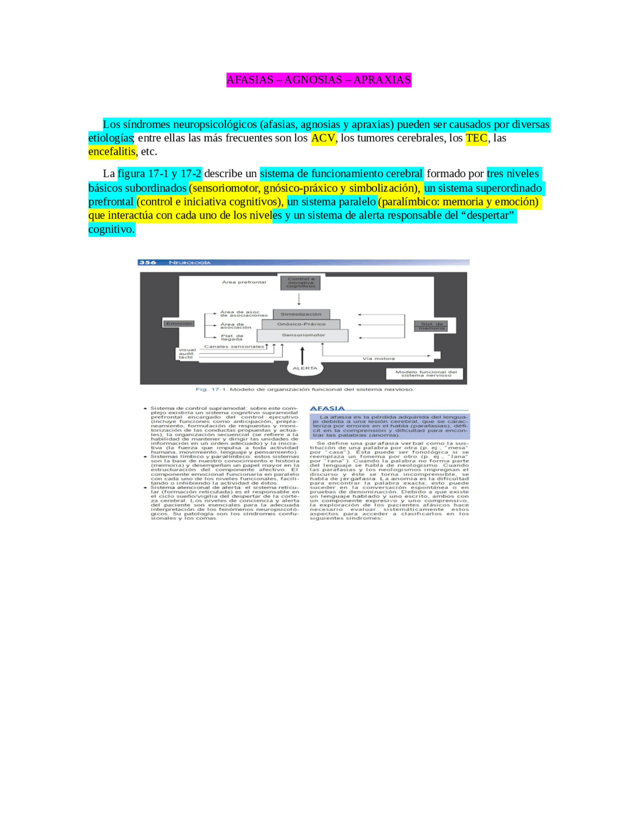Resumen de Facia, Gnosia y Praxia - Kinesiología - Docsity