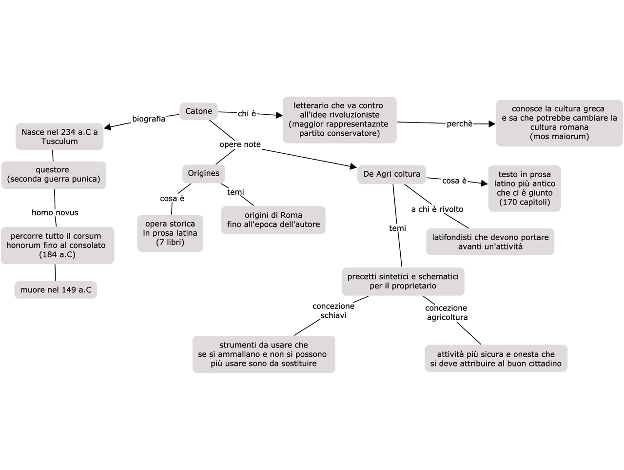 Schema Riassuntivo Catone Schemi E Mappe Concettuali Di Latino Docsity
