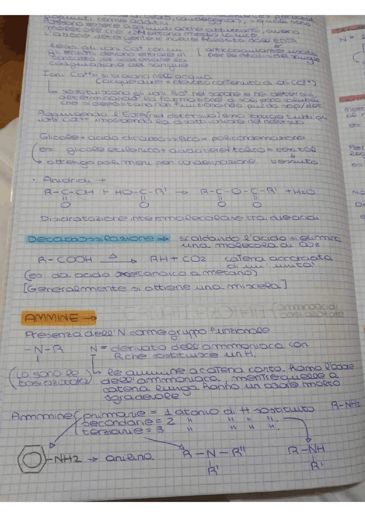 Ammine E Loro Caratteristiche Docsity