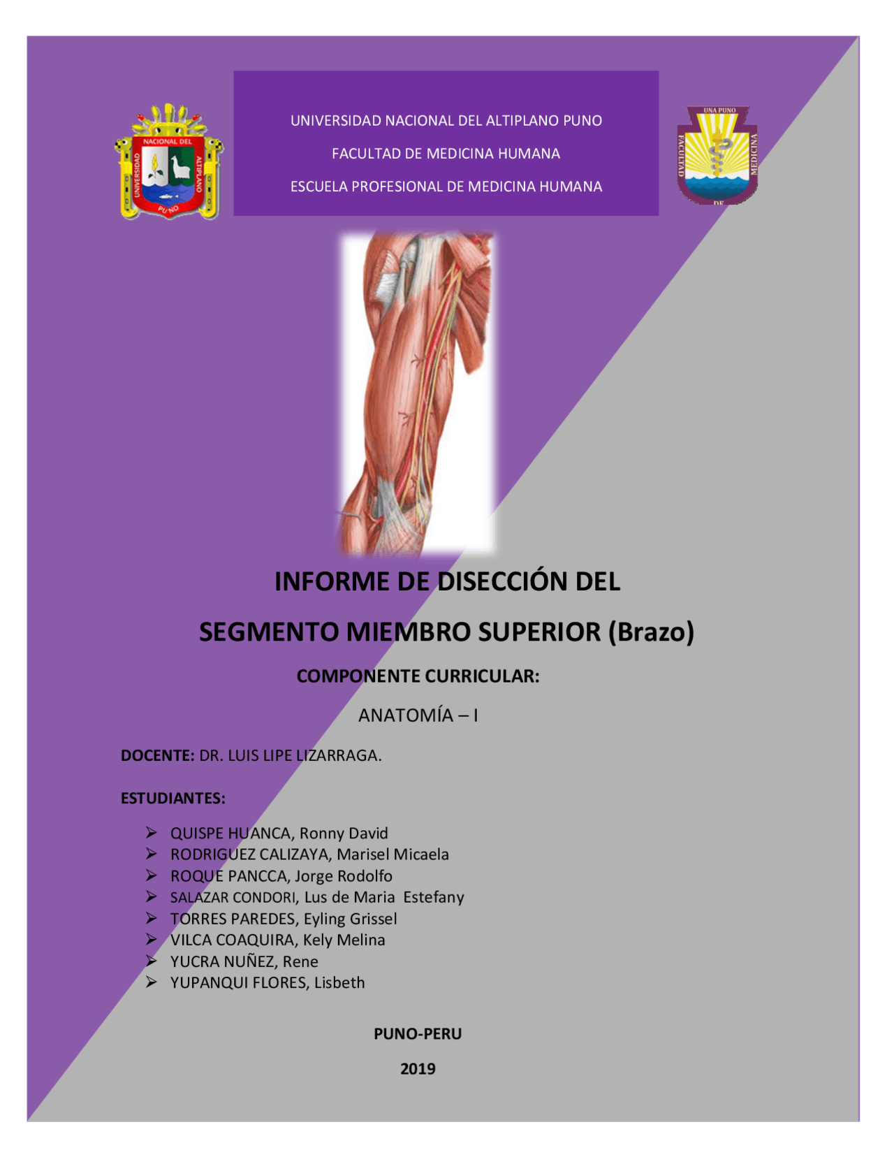 Resumen De Brazo Anatomia Resúmenes De Anatomía Docsity