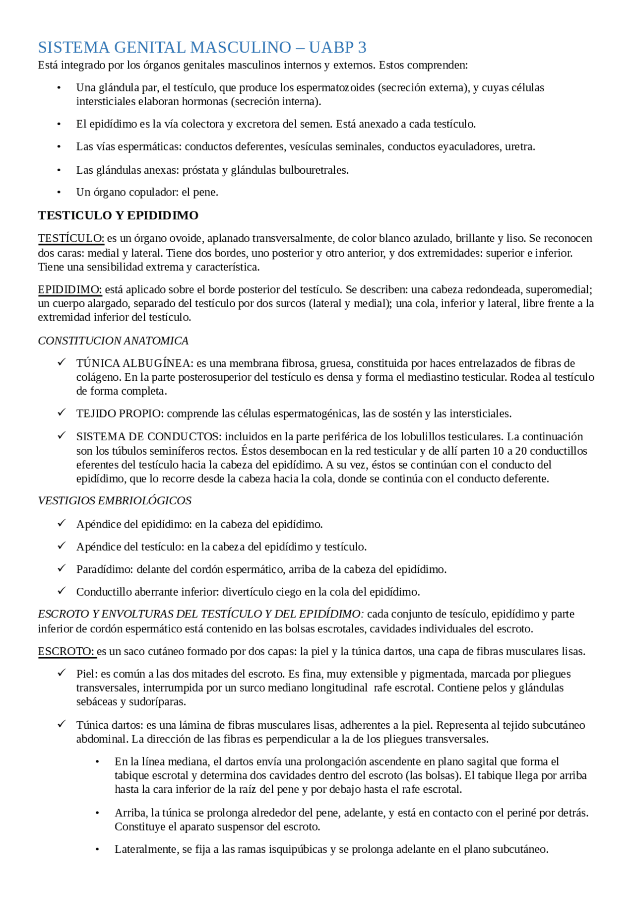 Anatomia De Sistema Genital Masculino Apuntes De Anatomía Docsity