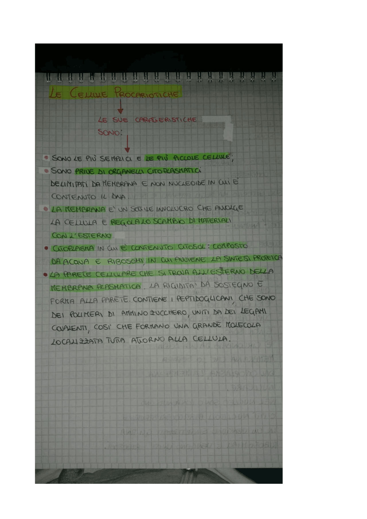 Le cellule procariotiche - Docsity