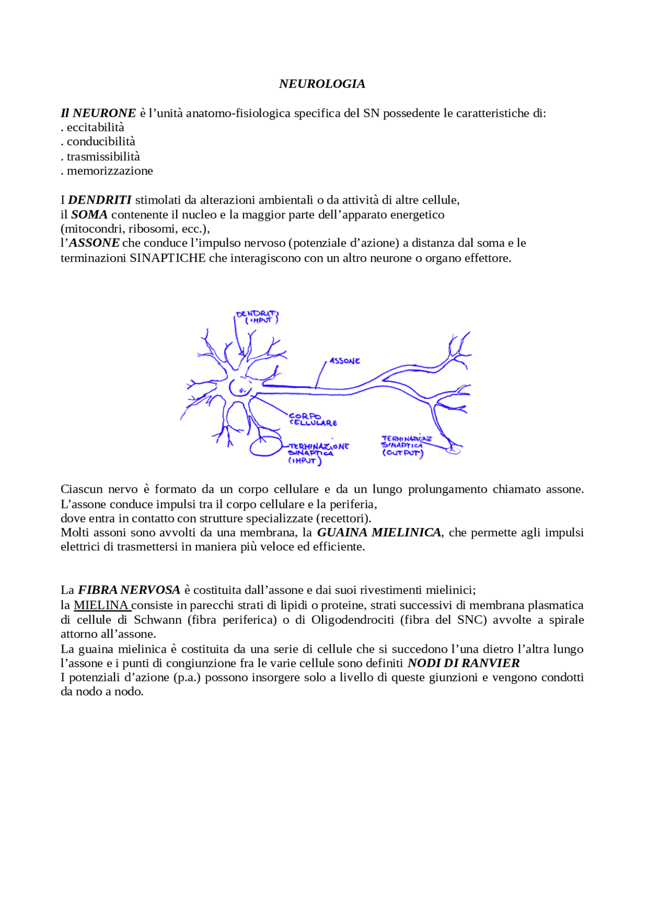 Appuntiimmagini Esame Neurologia Schemi E Mappe Concettuali Di